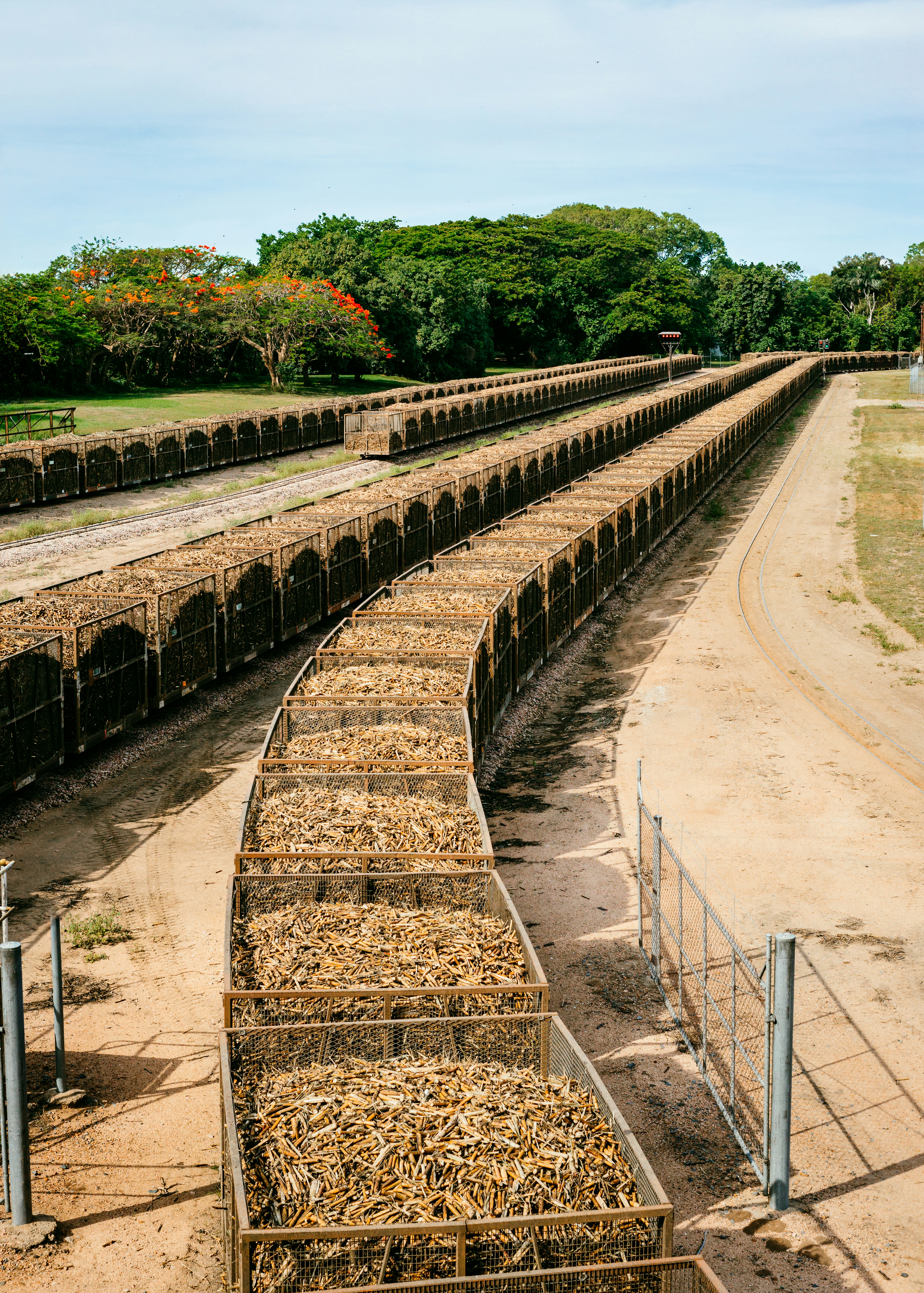 Photo by Sandie Peters with Canon EOS R