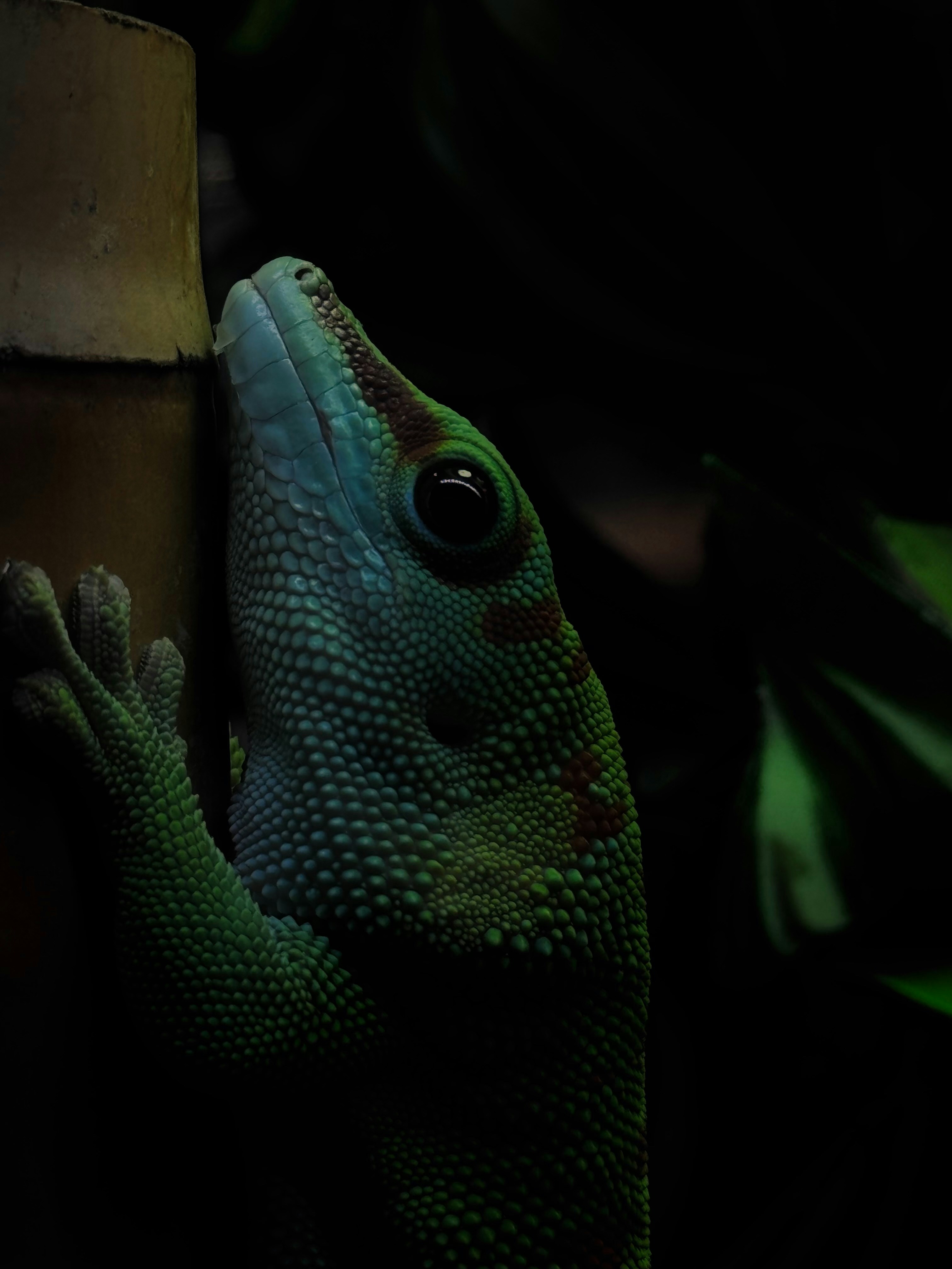 Photo by petr všetíček with Apple iPhone 15 Pro