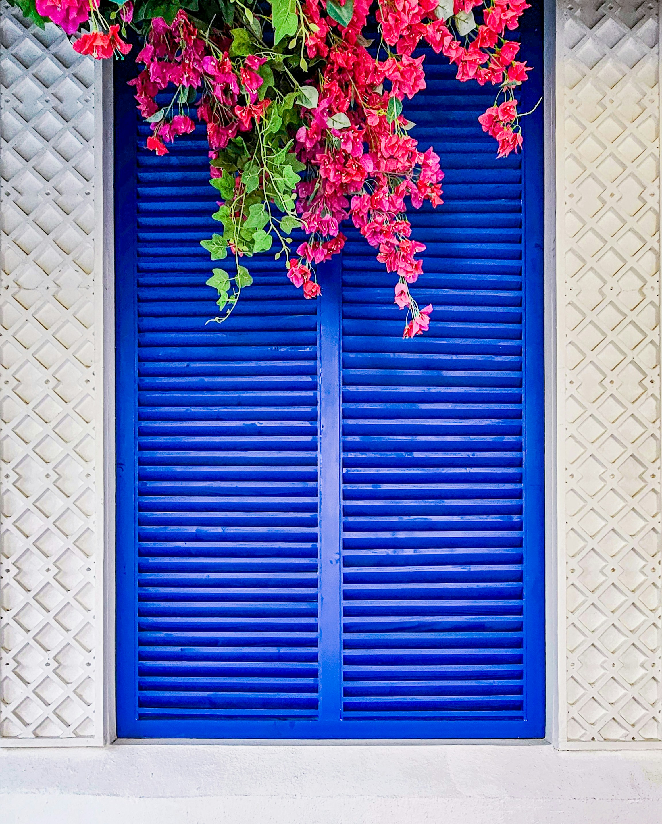 Bougainvillea flowers cascade over a bright blue shutter against a textured white wall, creating a striking visual contrast.