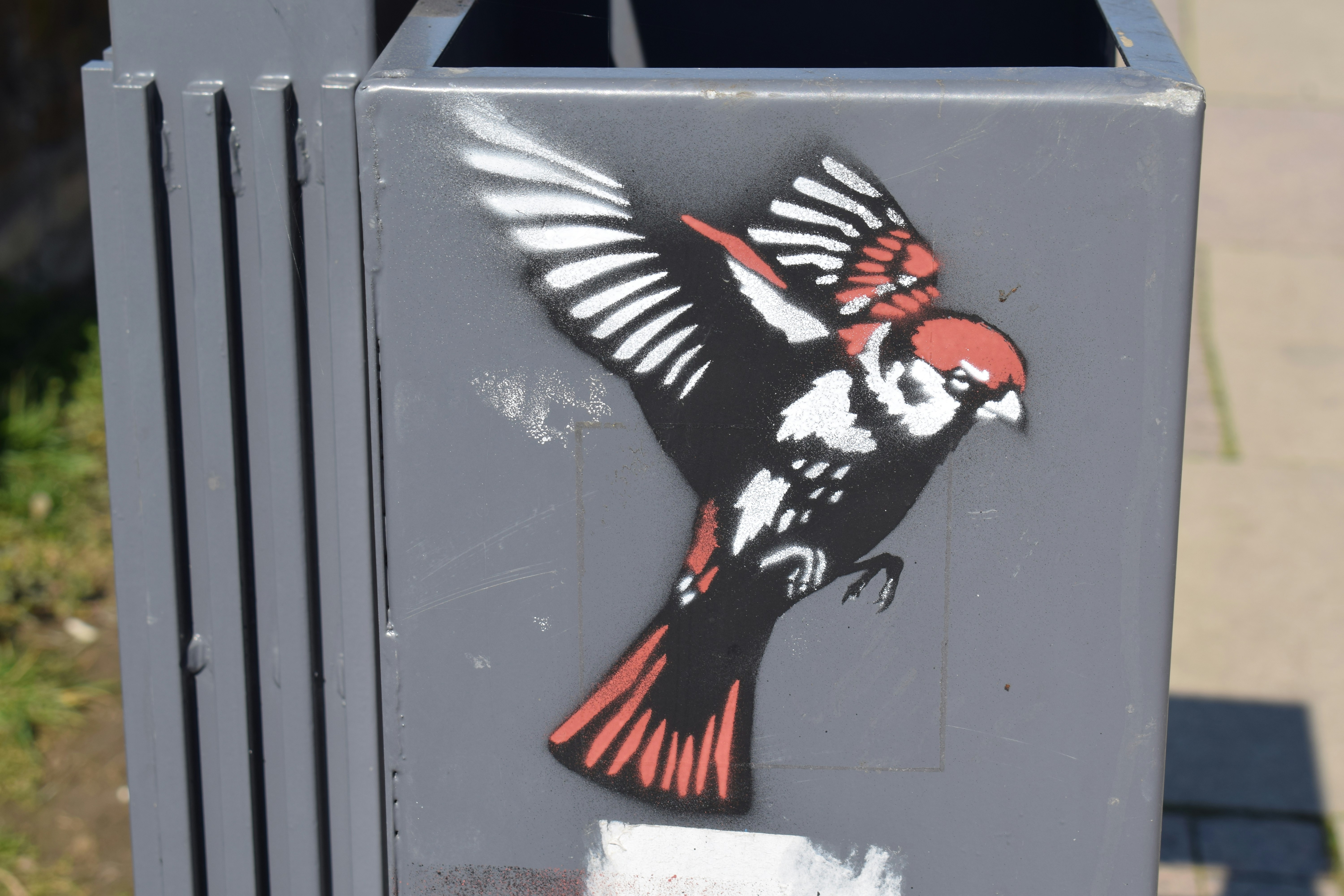 Springscape Graffiti: A Red-Breasted Bird in Mid-Glide on a Gray Utility Box