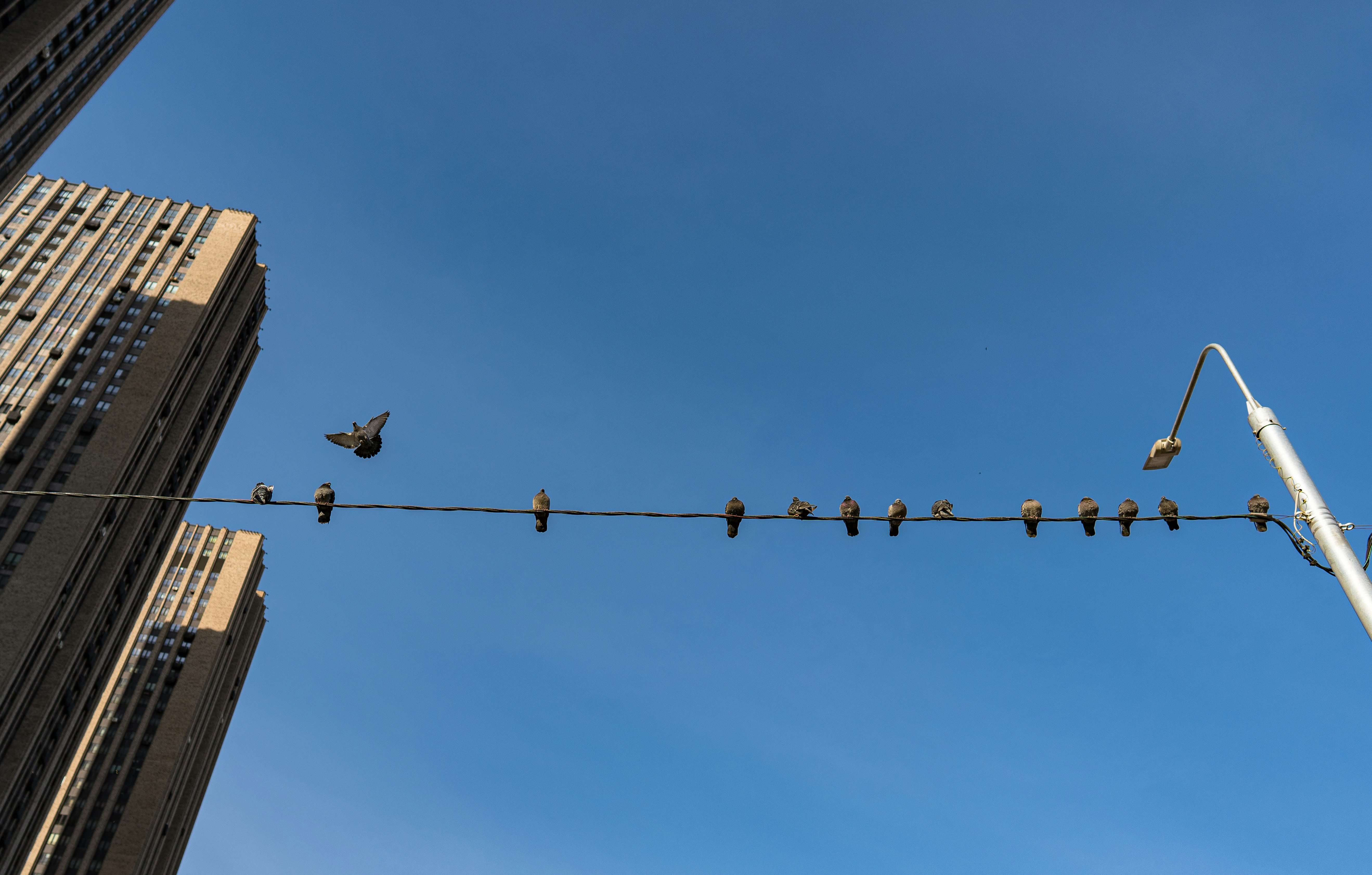 Photo by Grigorii Bakaturo with Sony Alpha 7C II