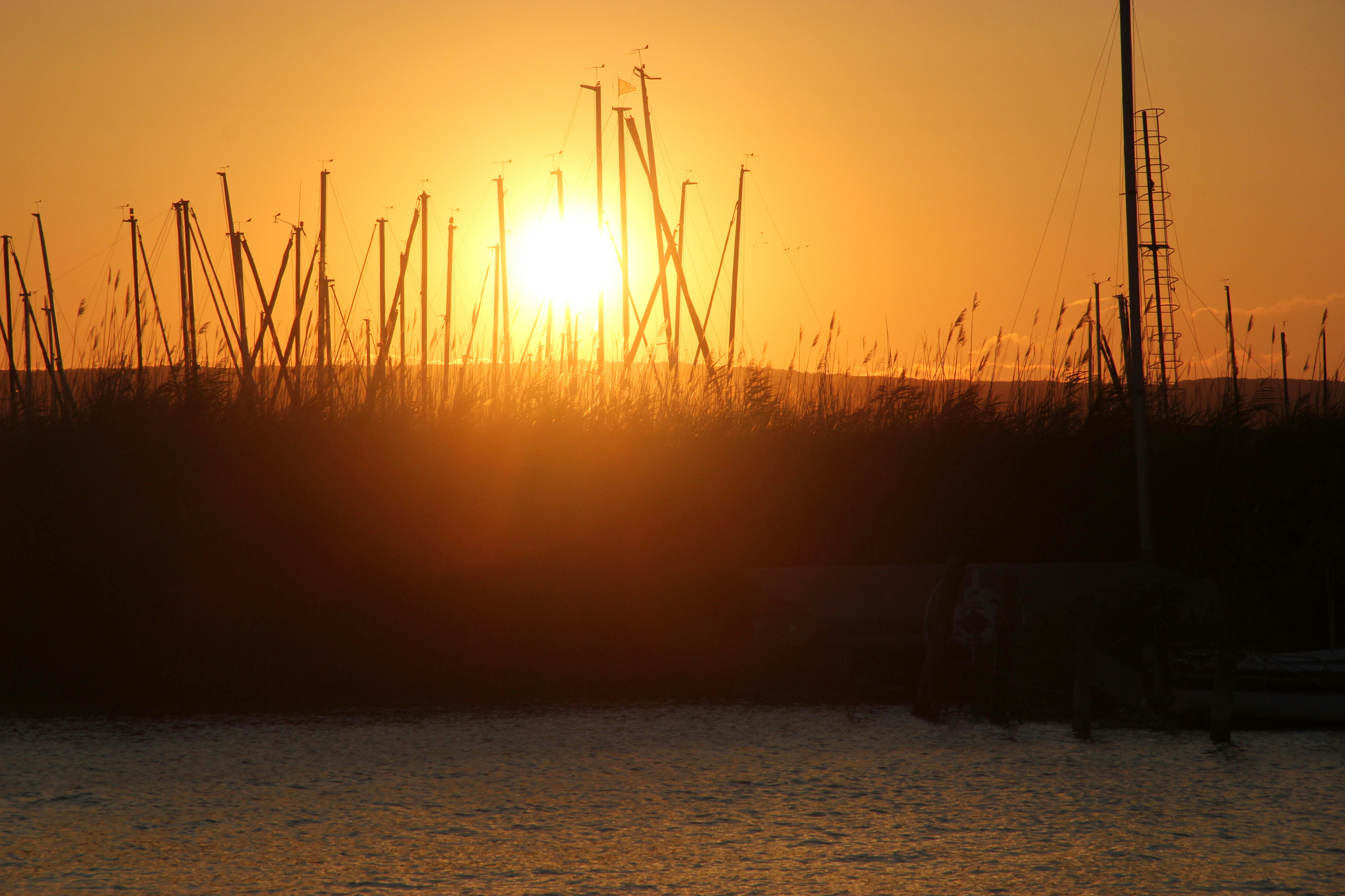 Golden sunset casting silhouettes of reeds and sailboat masts over tranquil waters.