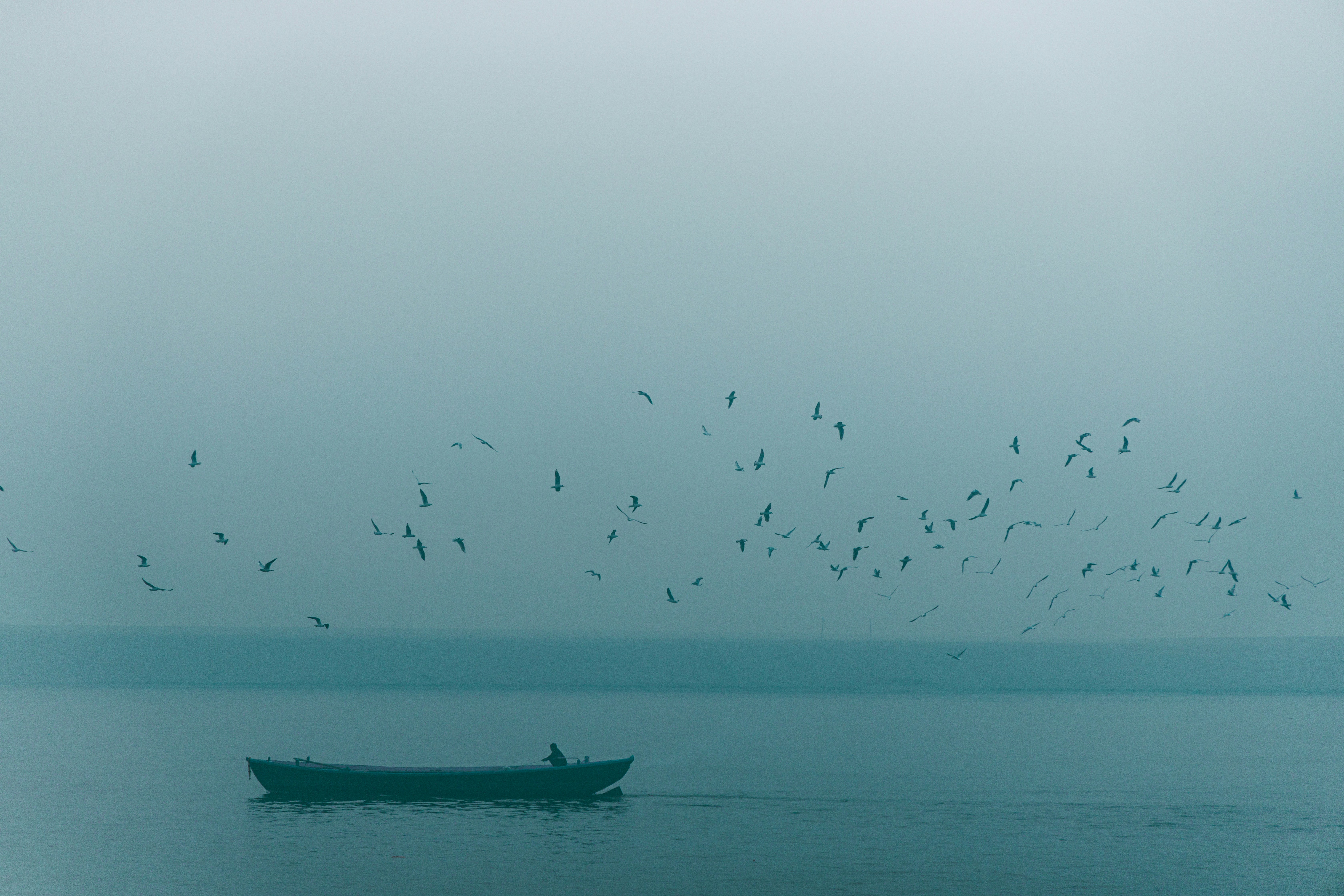 Small boat on a calm, misty lake surrounded by a flock of birds in flight.