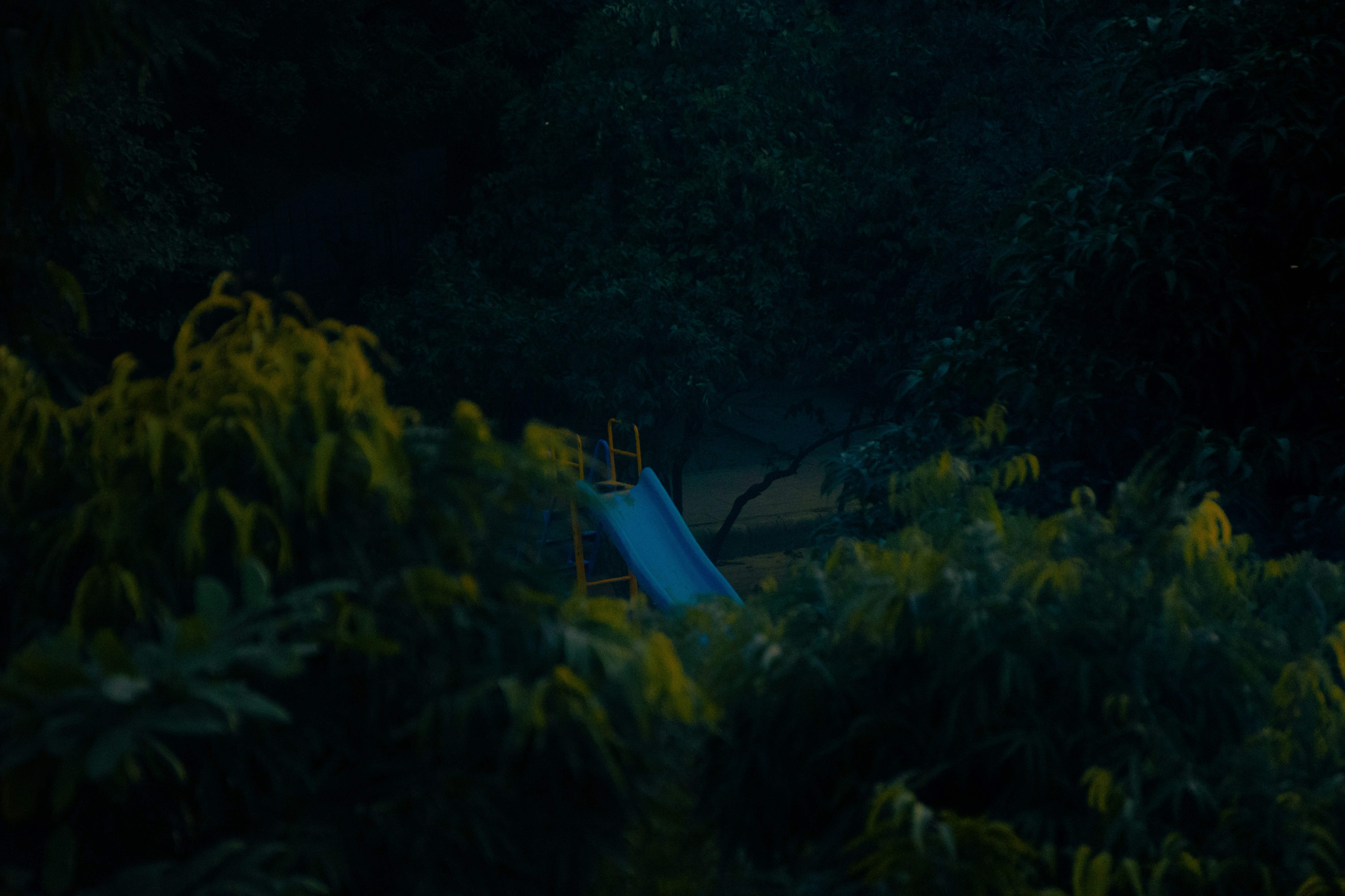 Hidden Playground in the Dusk Grove