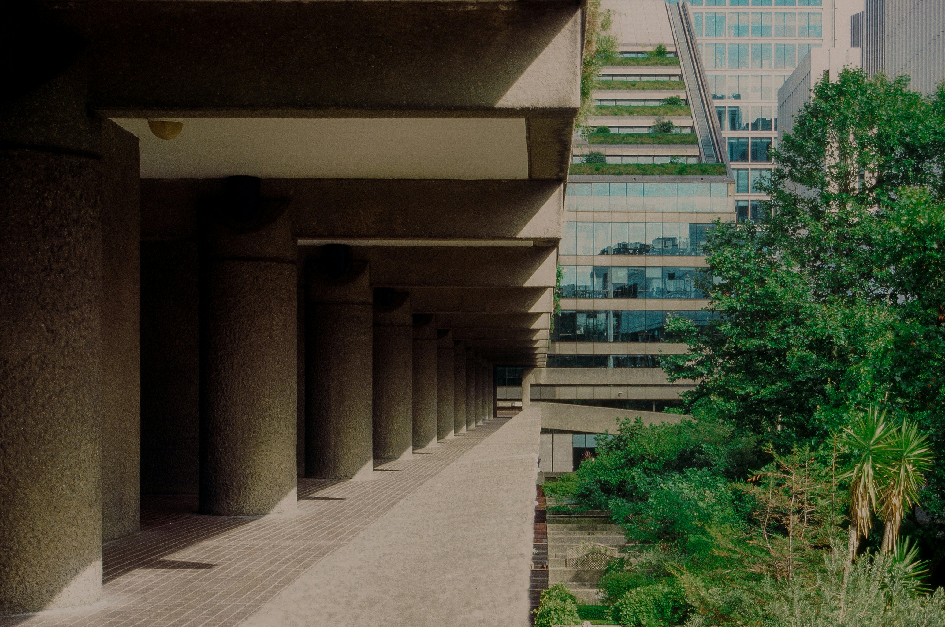 A concrete walkway with modern architecture and greenery. photo – Free ...