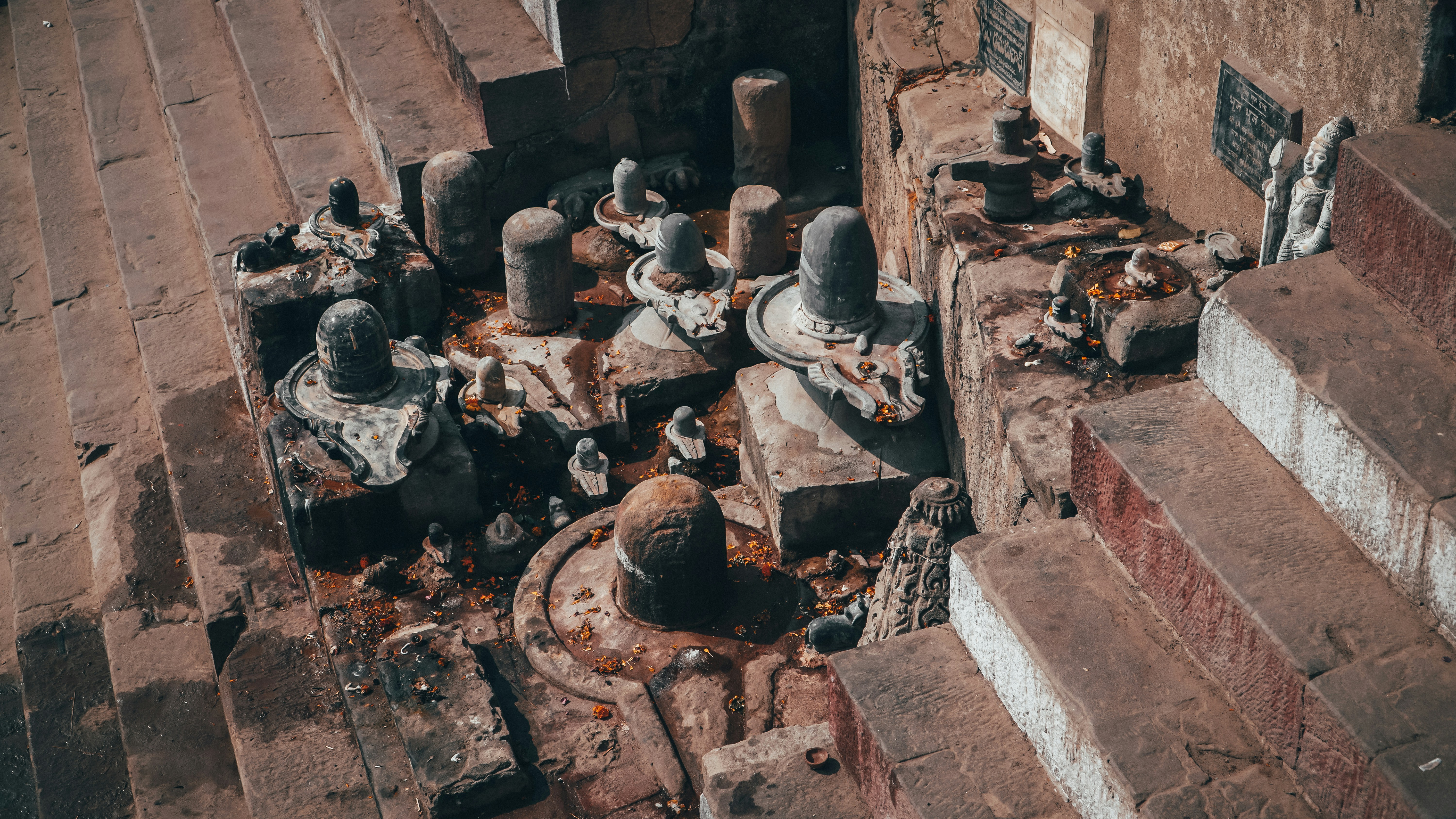 Photo by Dinesh Dixit with Sony Alpha 6400