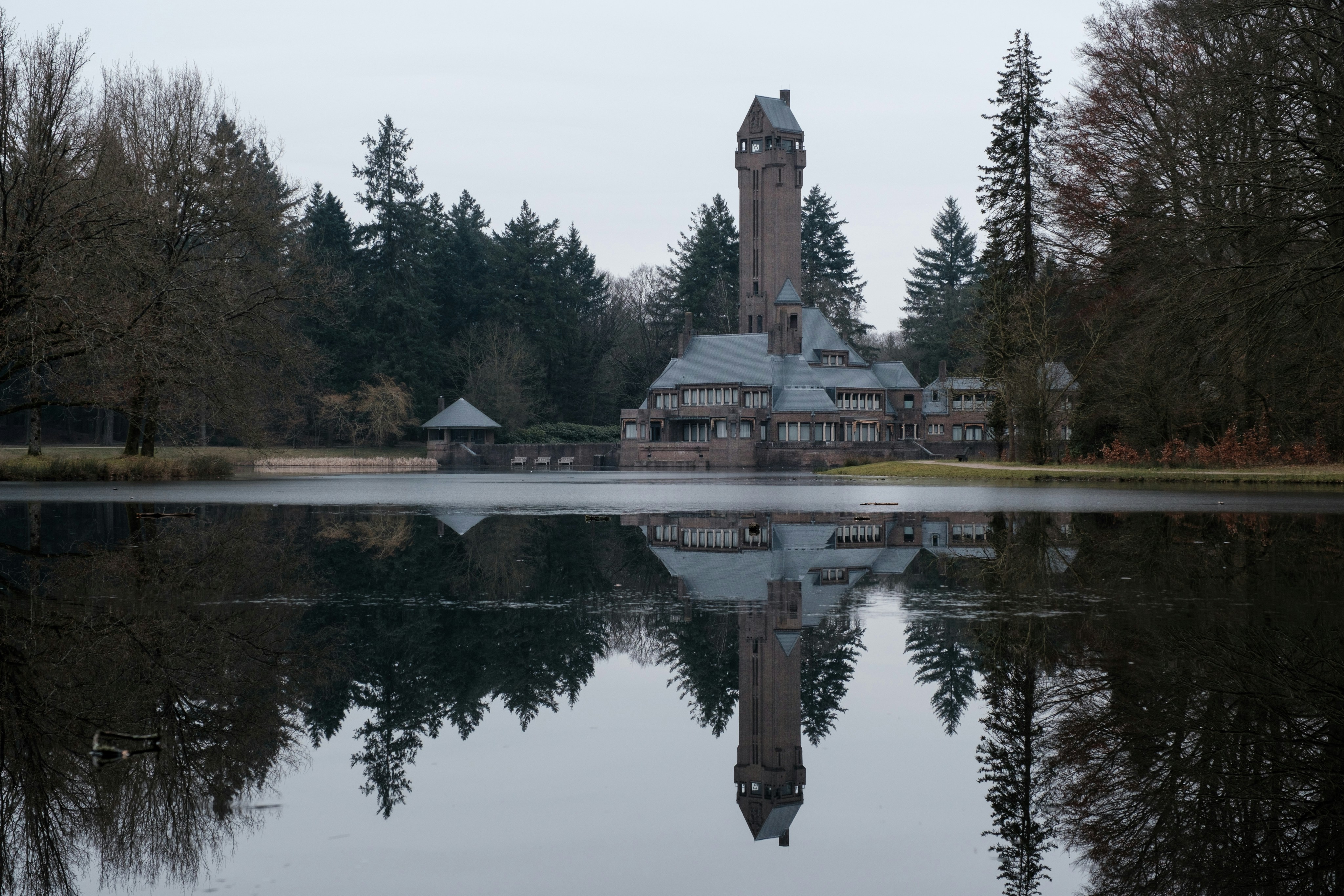 Historic castle reflected in a serene lake surrounded by dense forest.