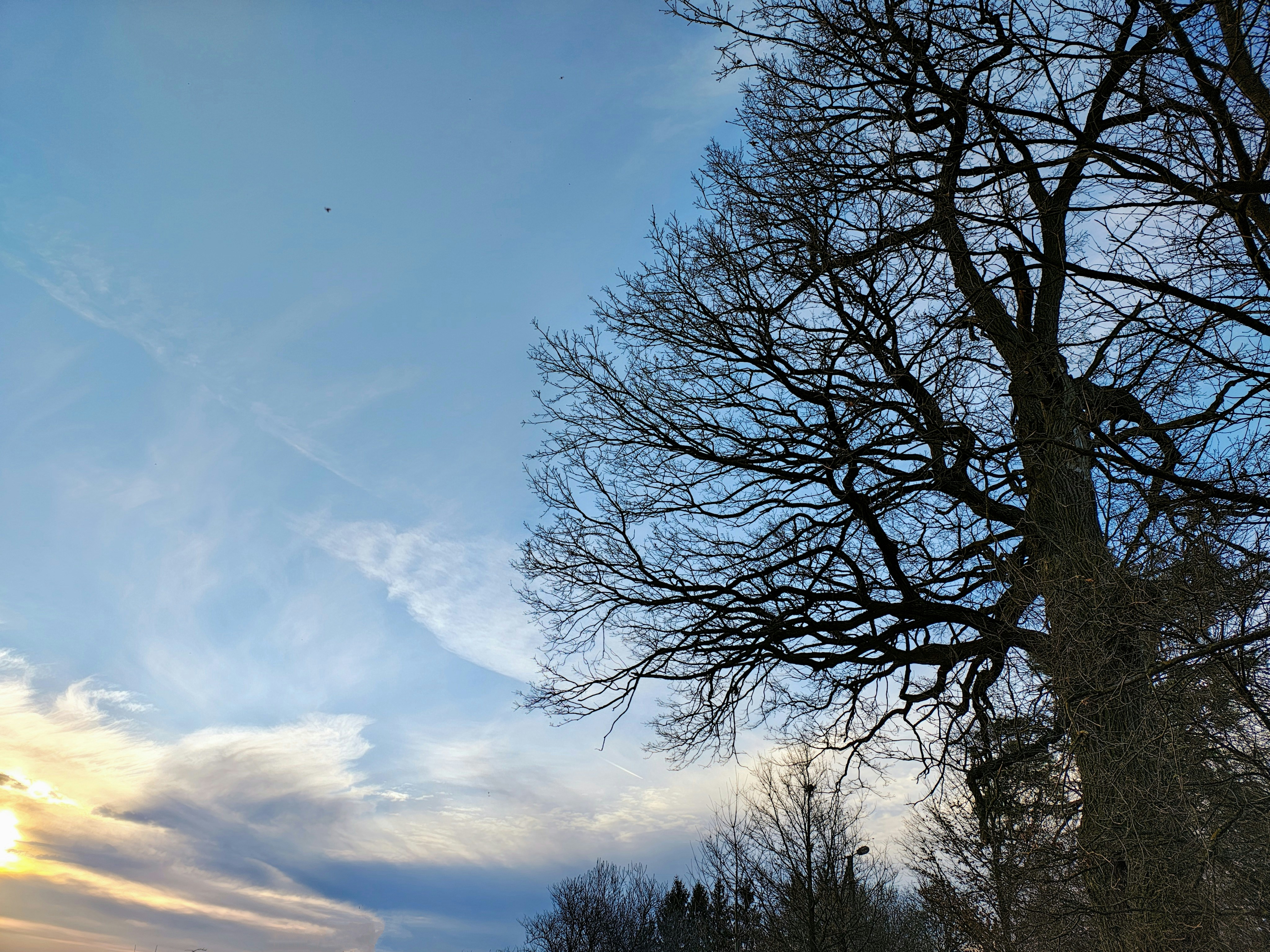 Sample photo from Motorola Edge 50 Pro