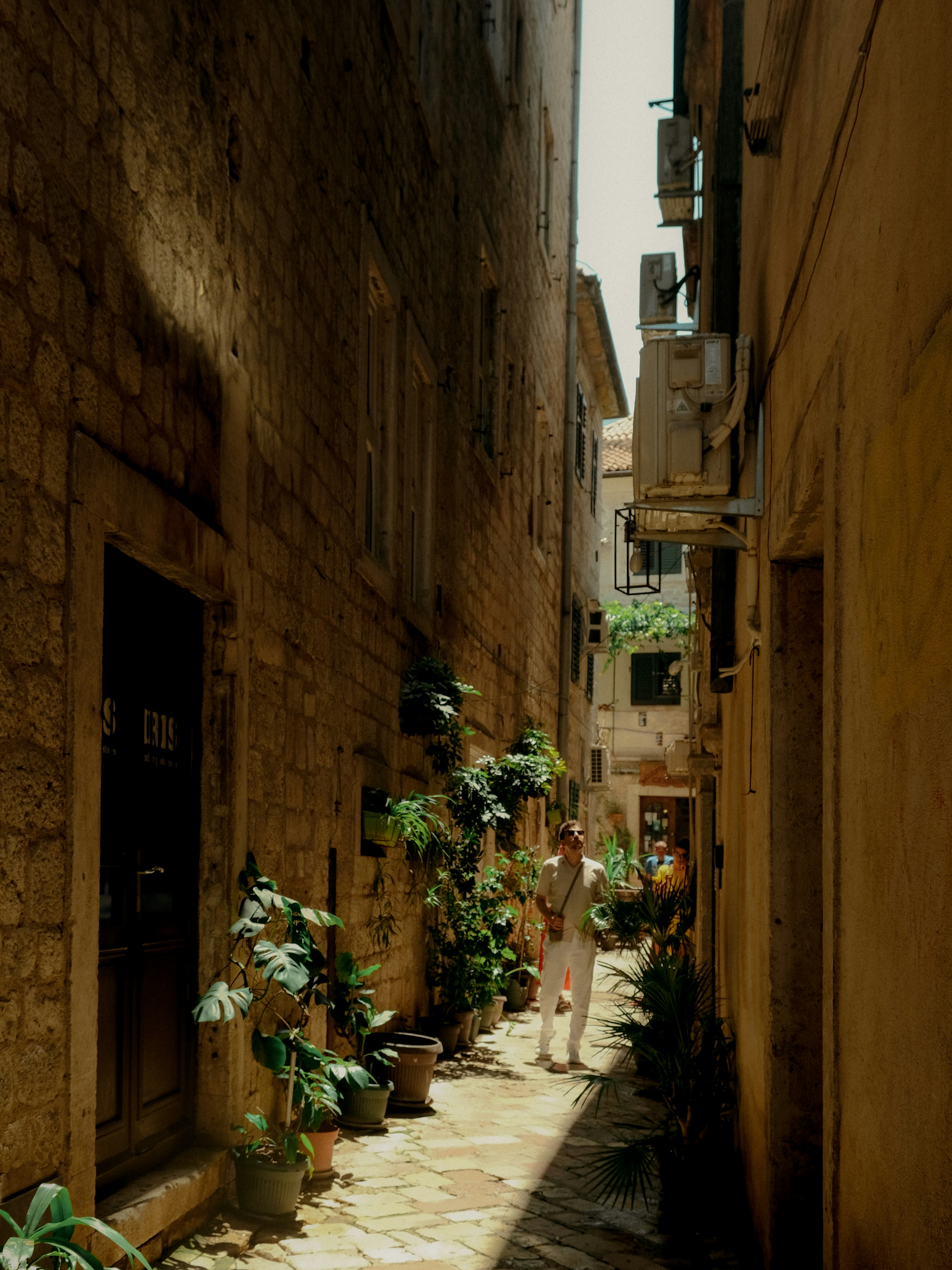 Narrow alley with potted plants lining ancient stone walls, illuminated by sunlight filtering from above.