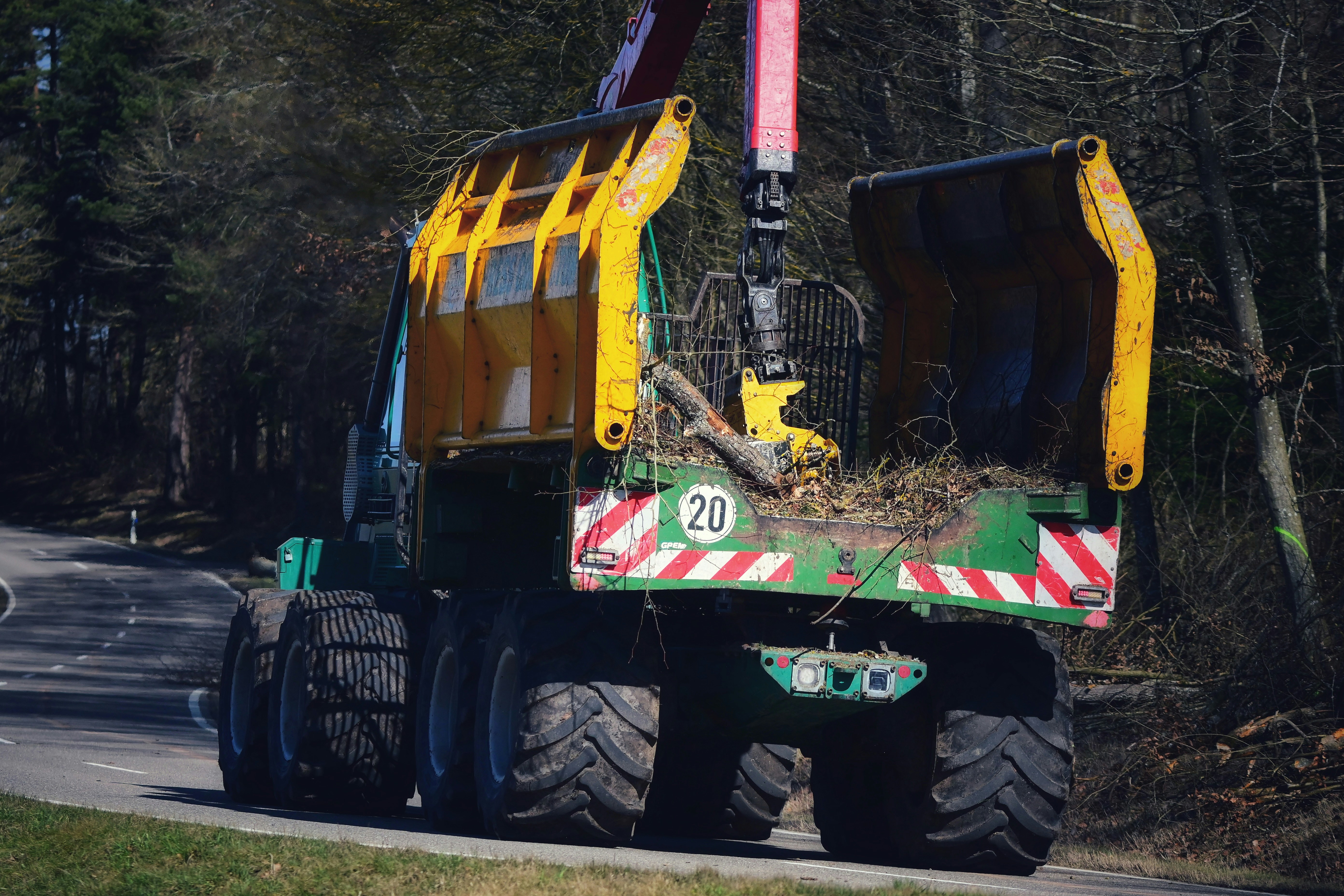 Forest Road Dump: A Green Timber Hauler Ready to Unload