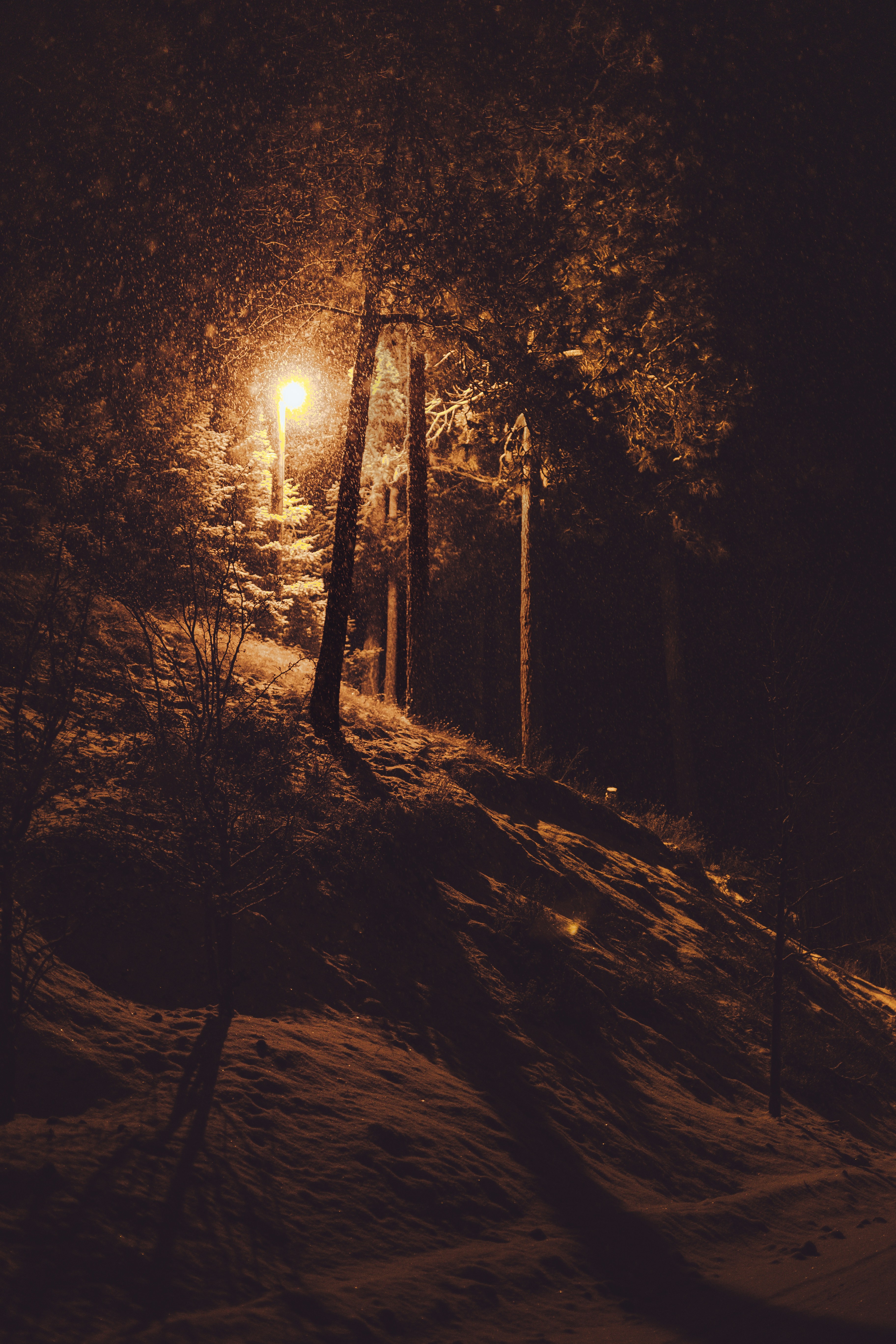 A solitary streetlamp casts a warm glow on a snow-covered hillside, surrounded by tall trees in a tranquil winter night. Snowflakes gently fall, adding to the serene atmosphere.