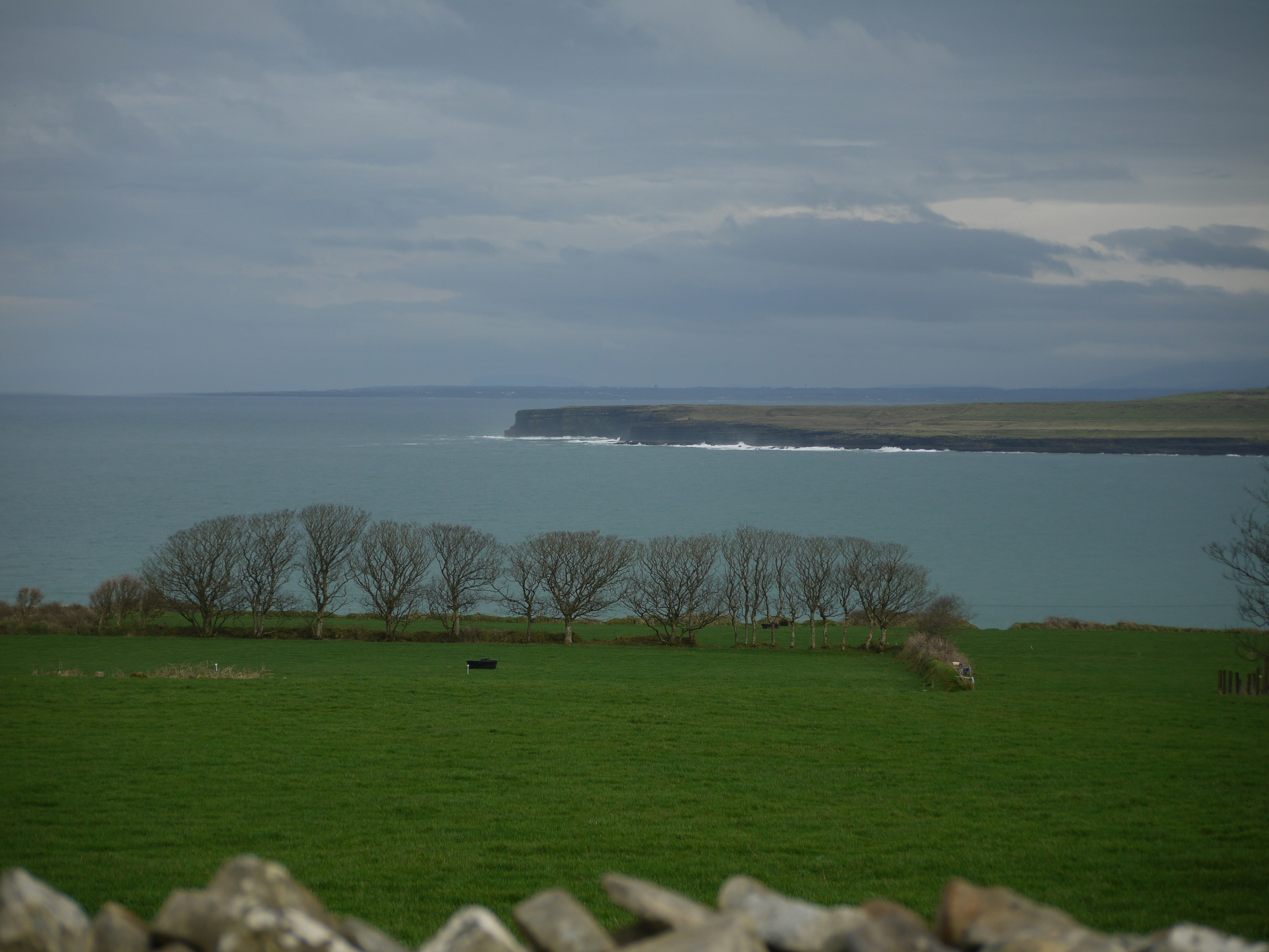 Distant ocean view framed by bare trees and lush green fields under a cloudy sky.