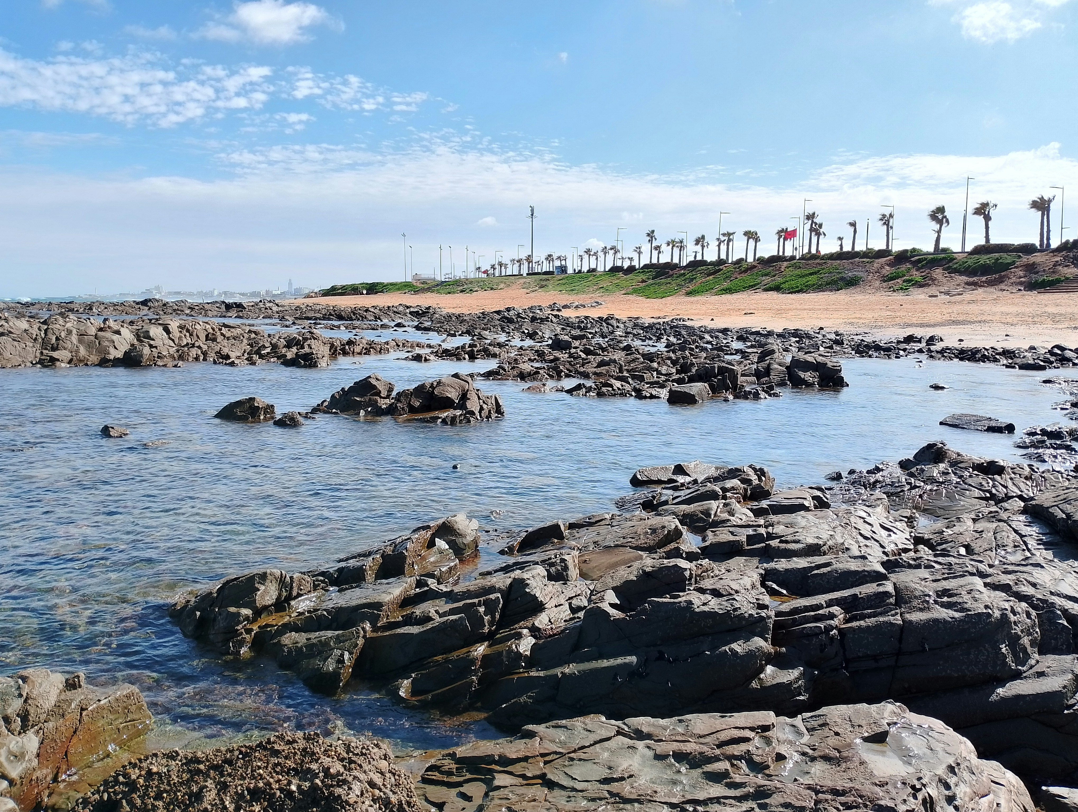 Sample photo from Realme C53