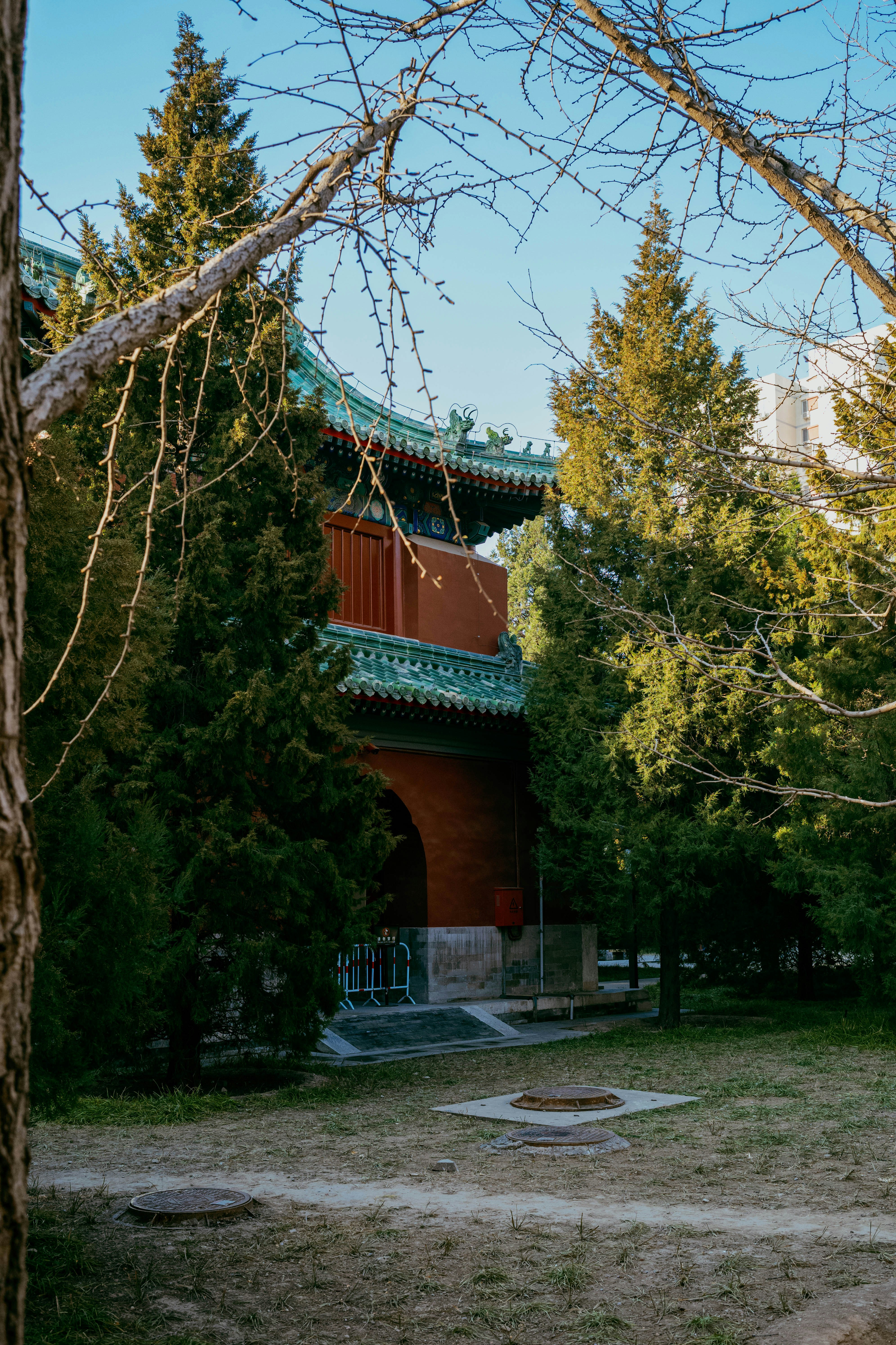 Green-Tiled Pagoda Peeks Through Winter Branches in a Tranquil Park