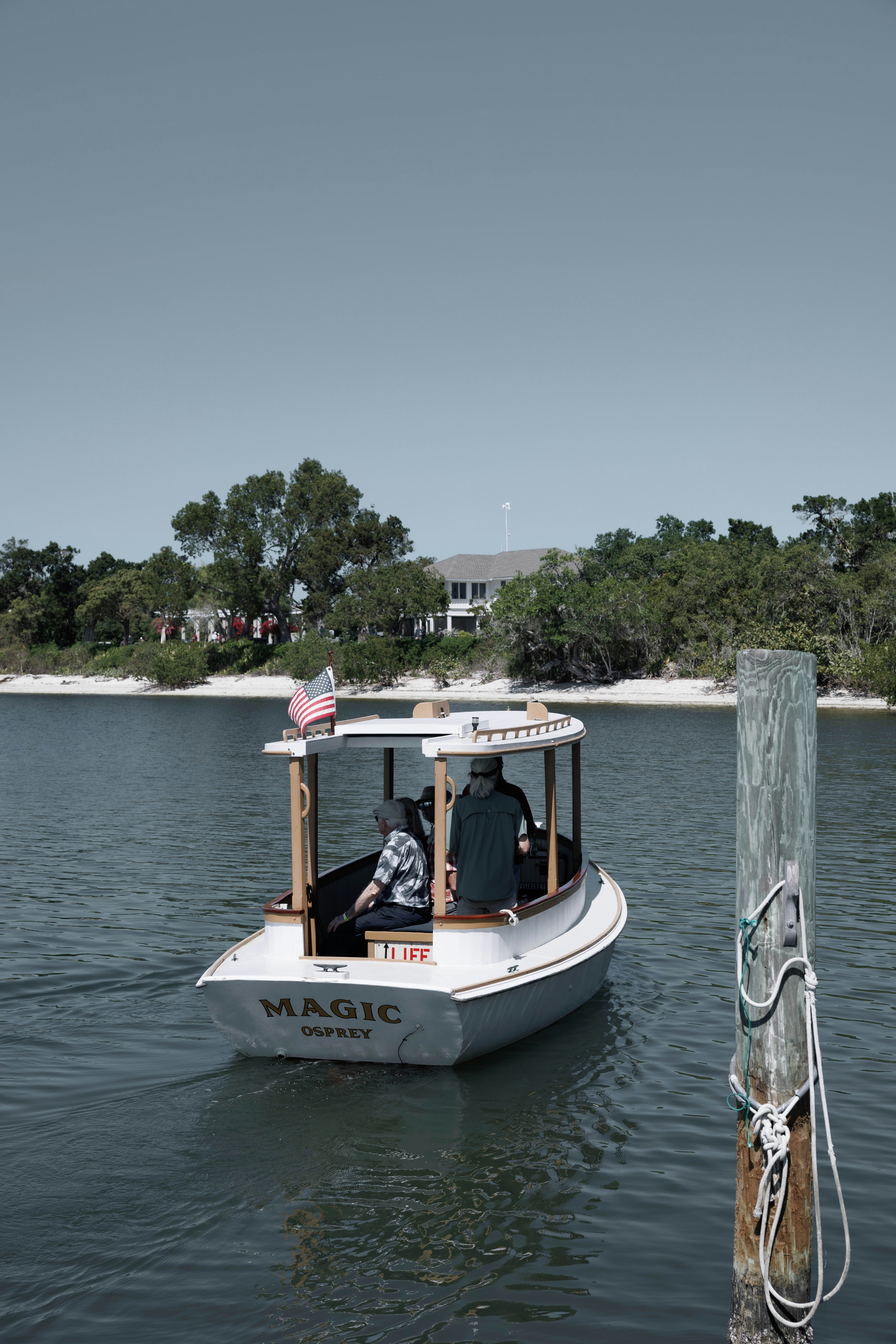 Magic Osprey at Quiet Harbor: A Sunlit Waterway Moment