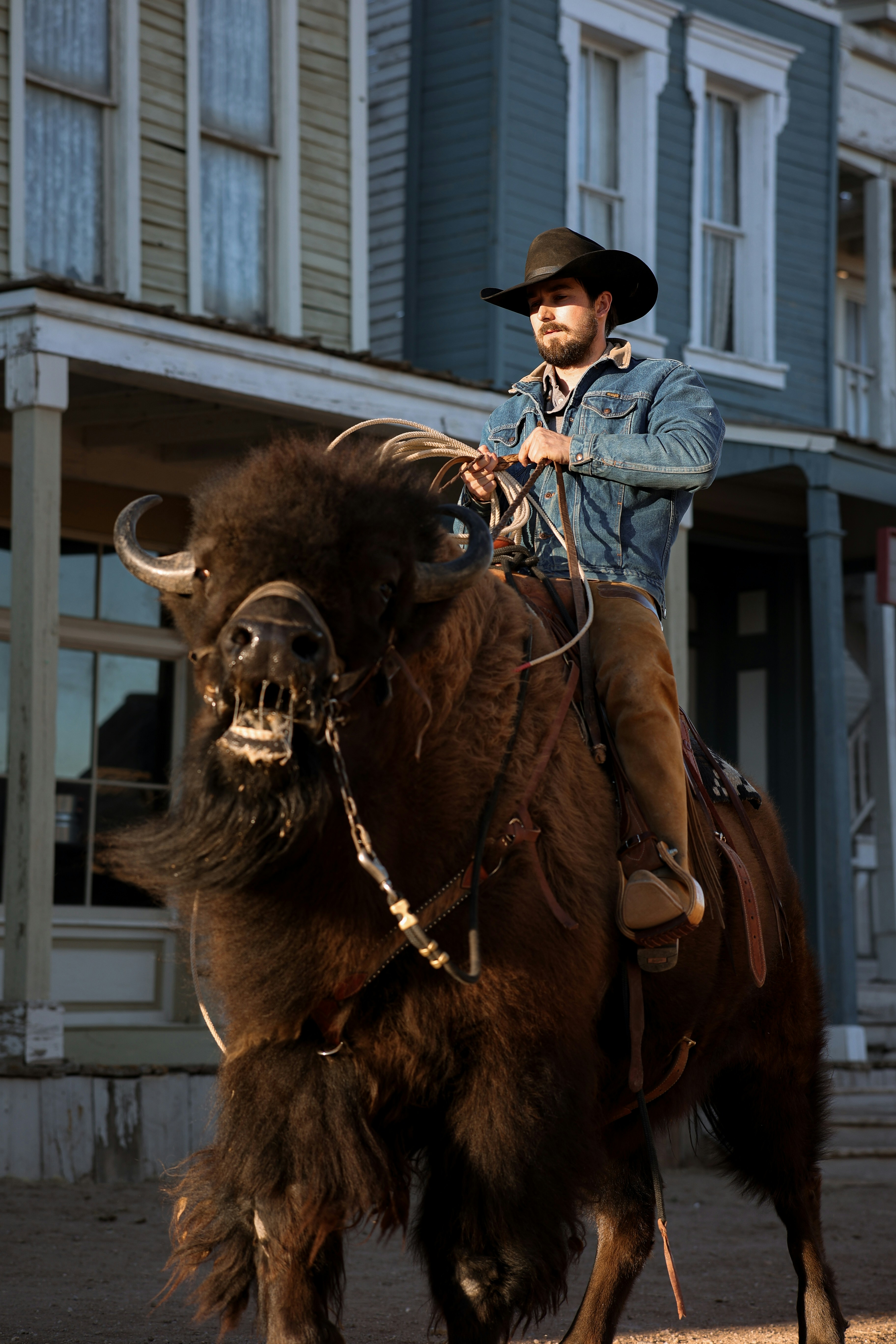 A cowboy rides a bison down a dusty street. photo – Free Portrait Image ...