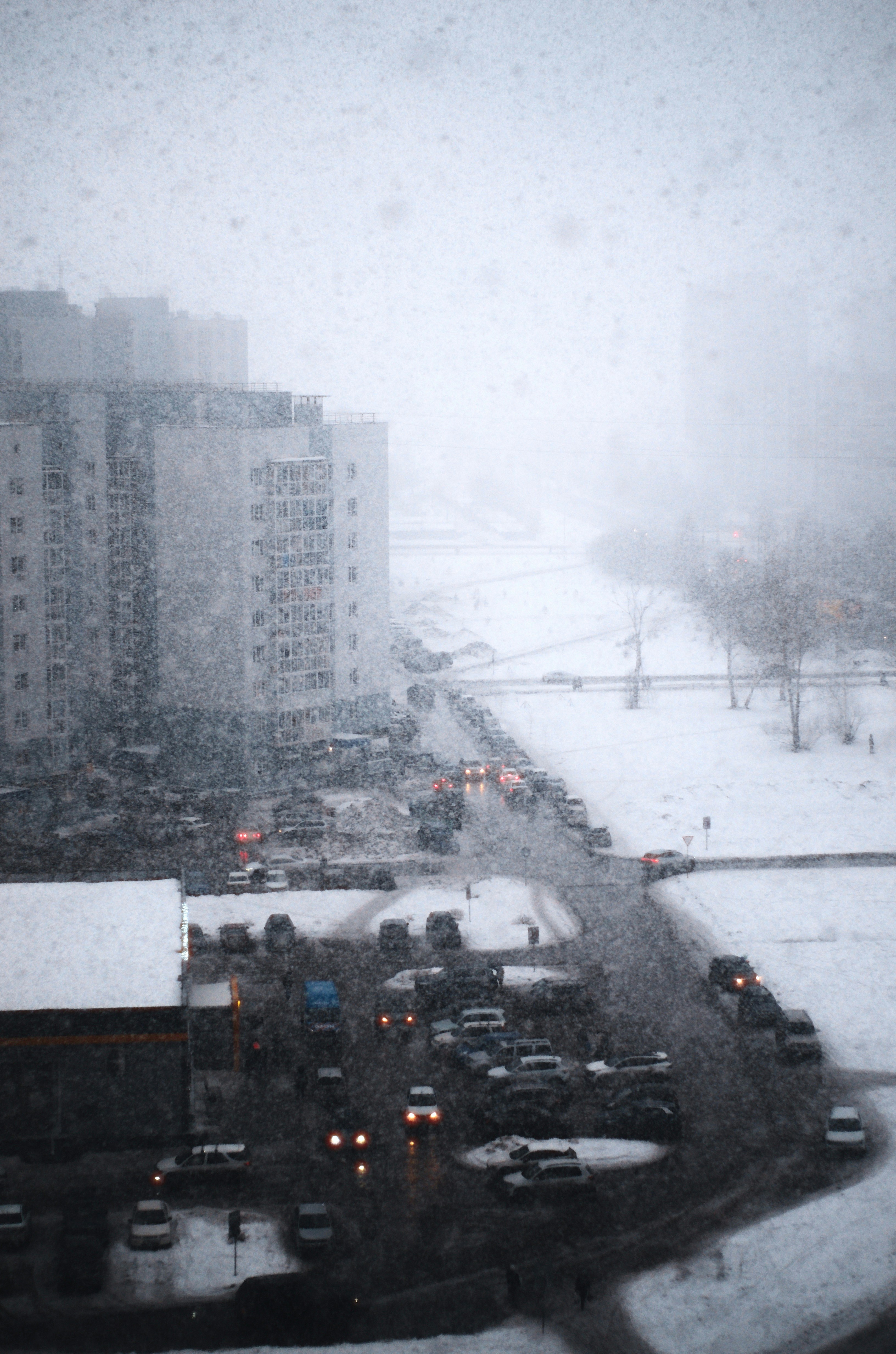 Whispers of Winter: A City Enveloped in Snow