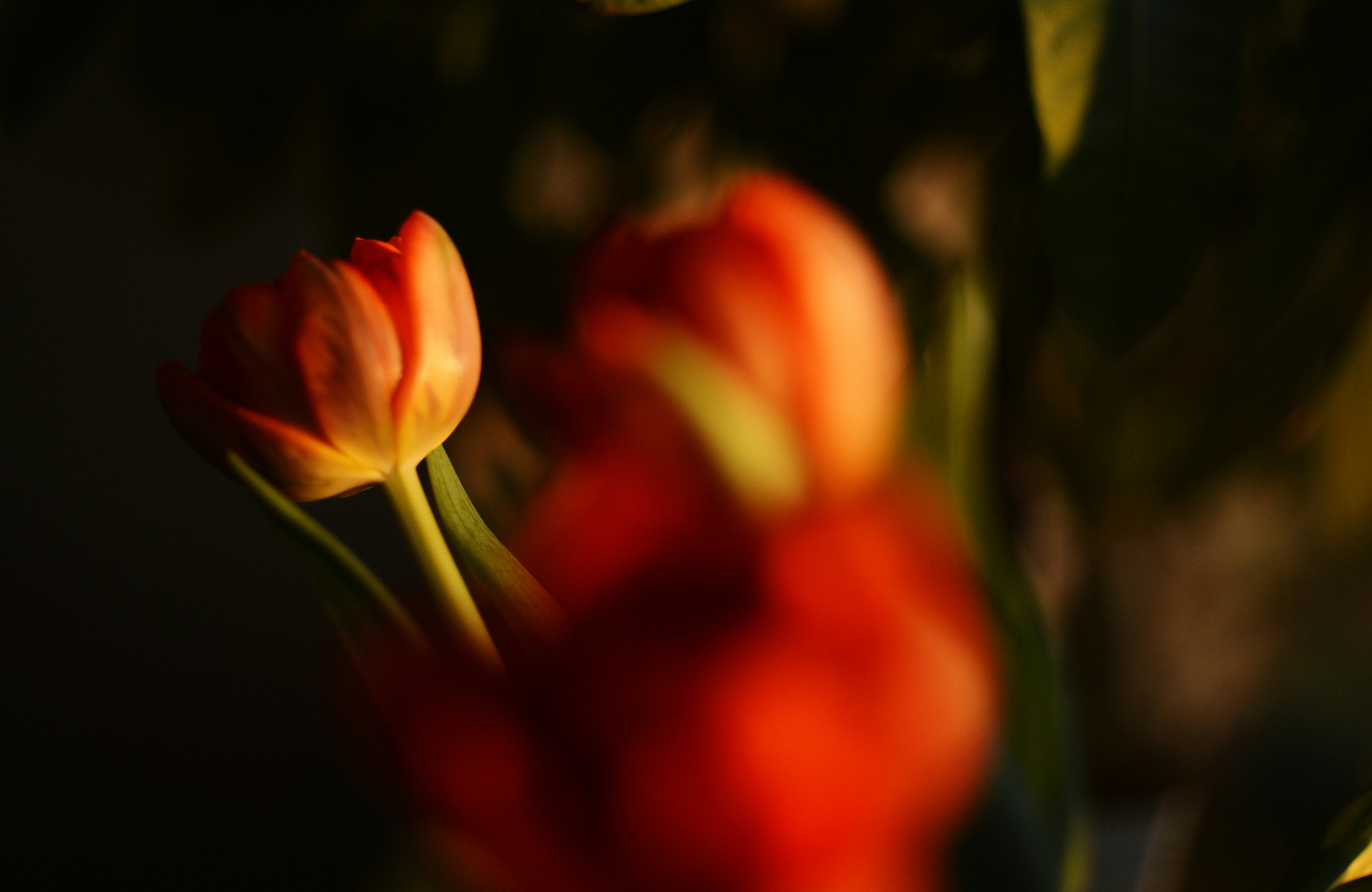 Photo by Liana S with Nikon D600