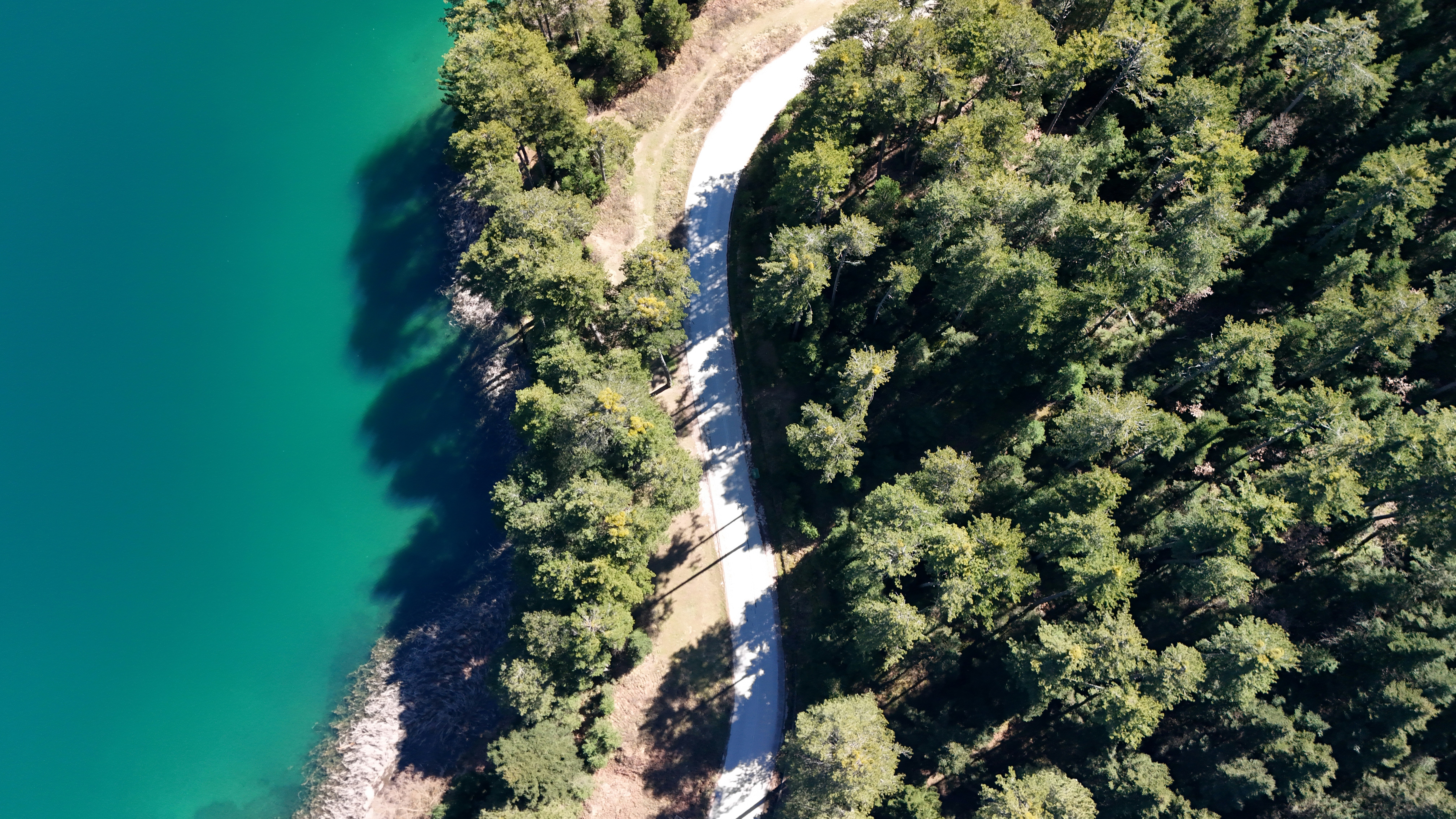 Curved white ribbon through emerald pines beside turquoise shoreline