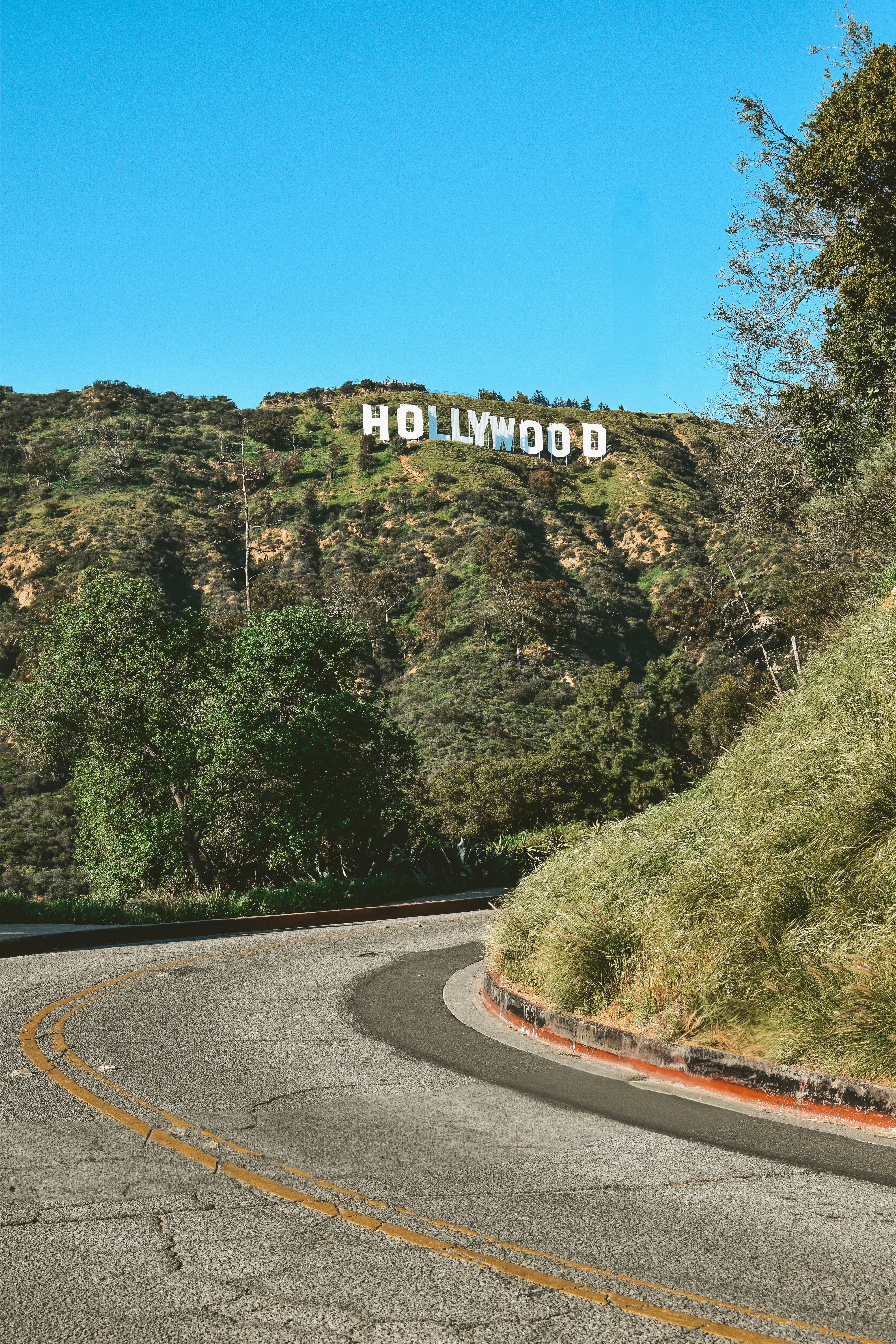 Winding Crest toward Hollywood: A Curved Road Beneath the Sign