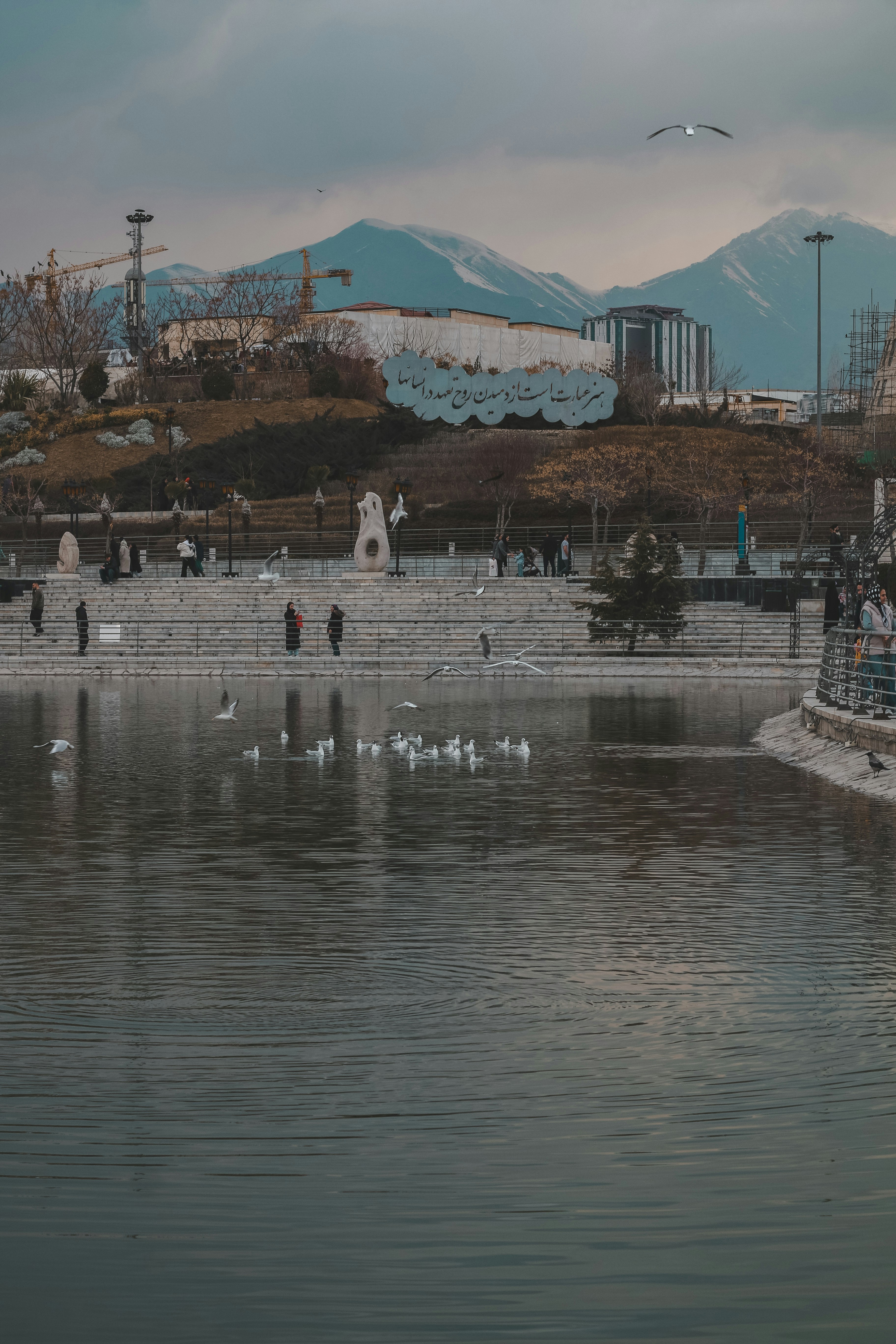 Terraced Lakeside in Winter: Seagulls, Sculpture, and Mountain Silence