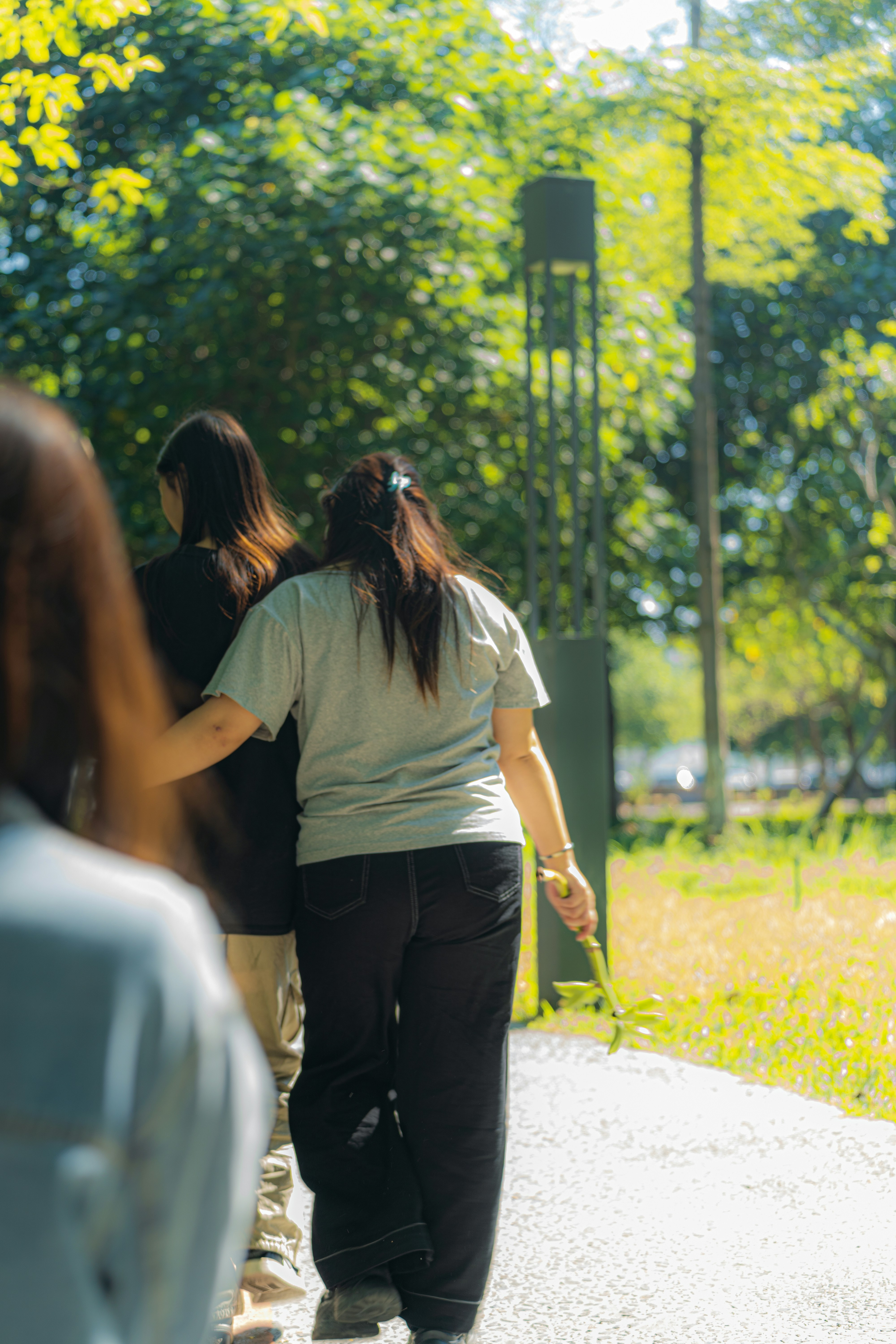 Two individuals walking along a sunlit path, surrounded by lush greenery and dappled sunlight. The scene captures a moment of connection in a tranquil outdoor setting.