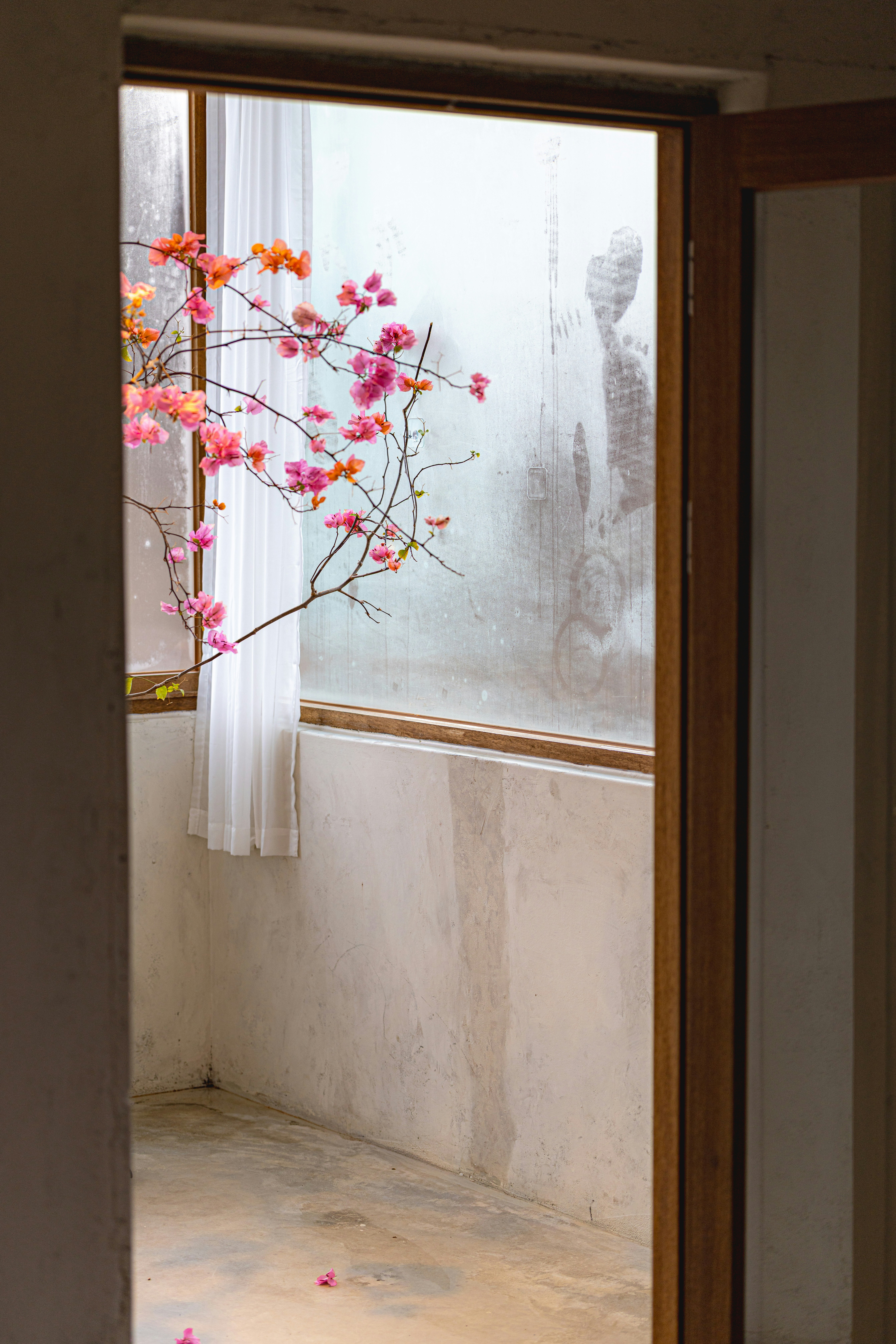 Flowers and light frame a simple, interior space. photo – Free Flower ...