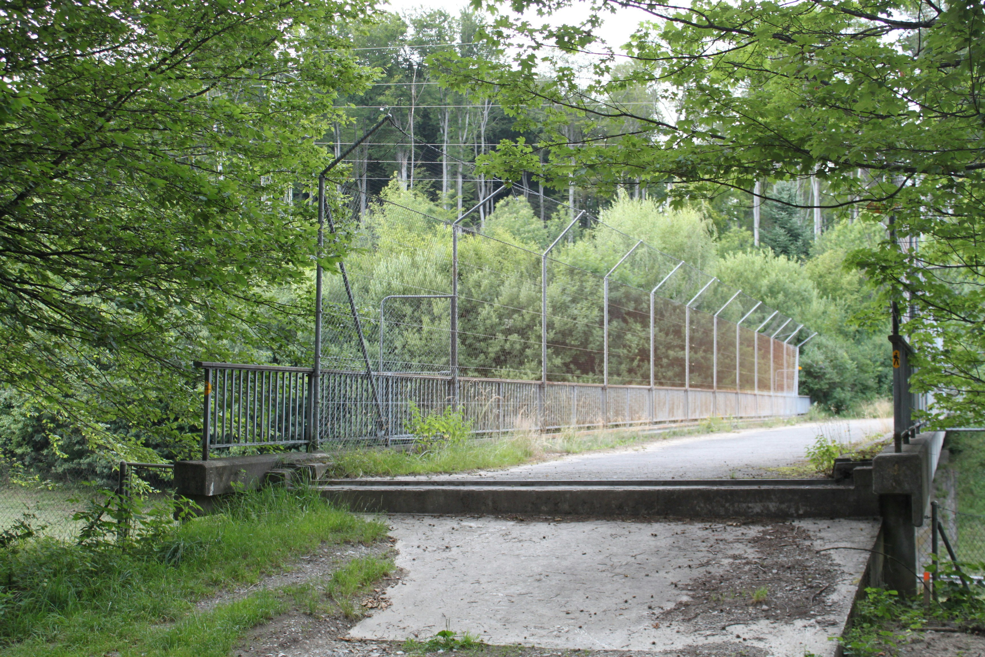 Tree-lined path leading to a fenced bridge in a lush forest setting.