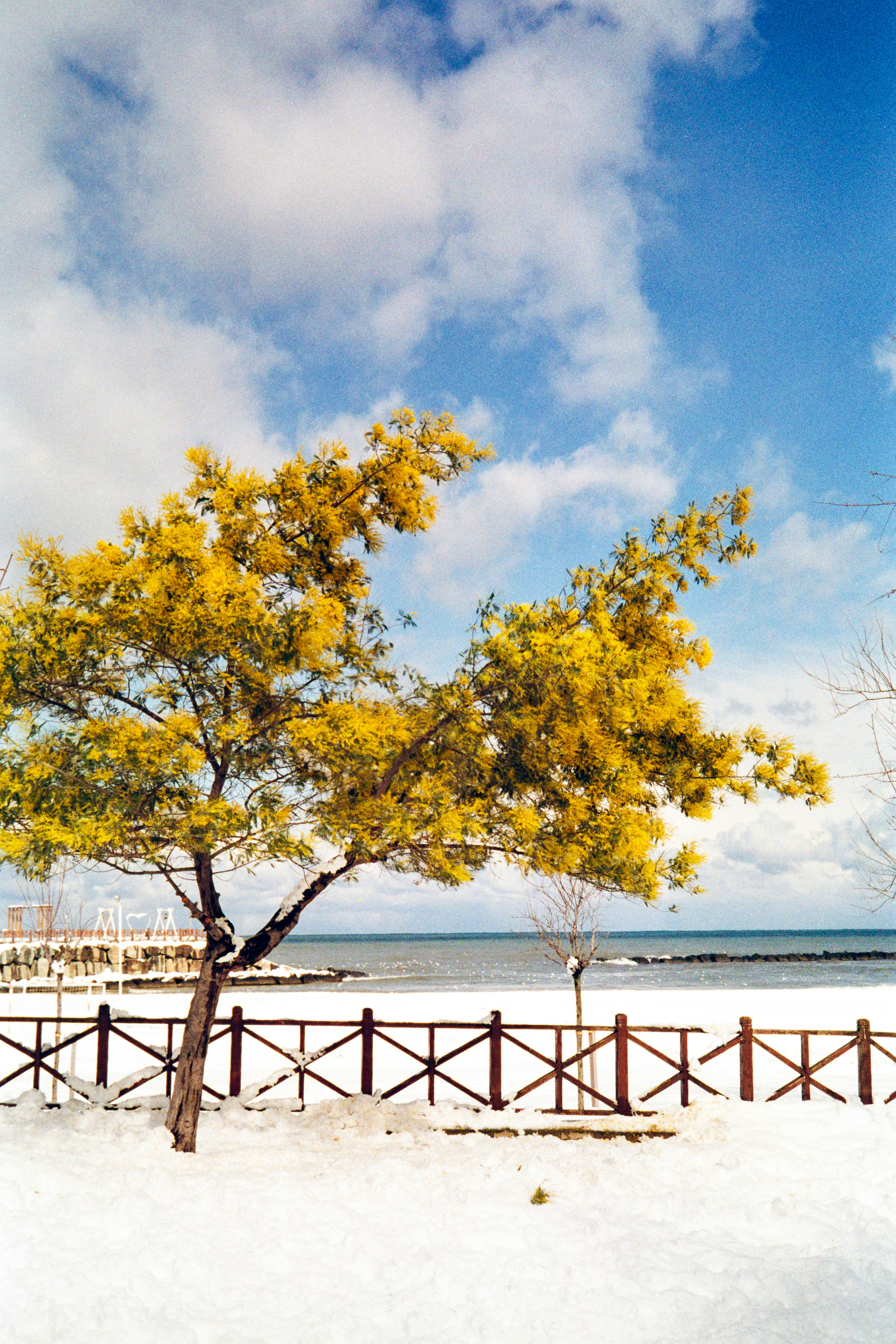 Kodak Gold 200 🎞️