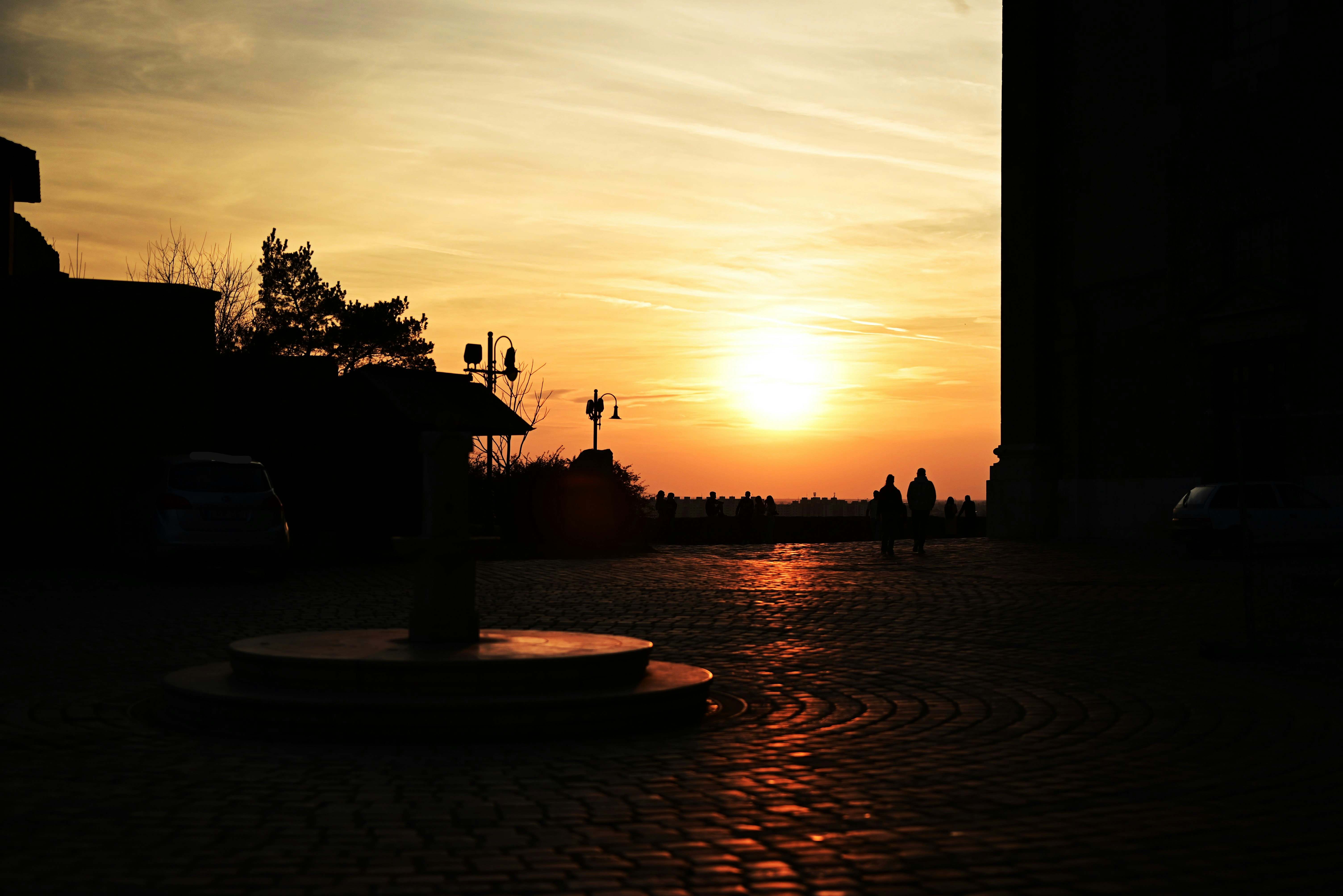 Twilight Silhouettes on Cobblestone