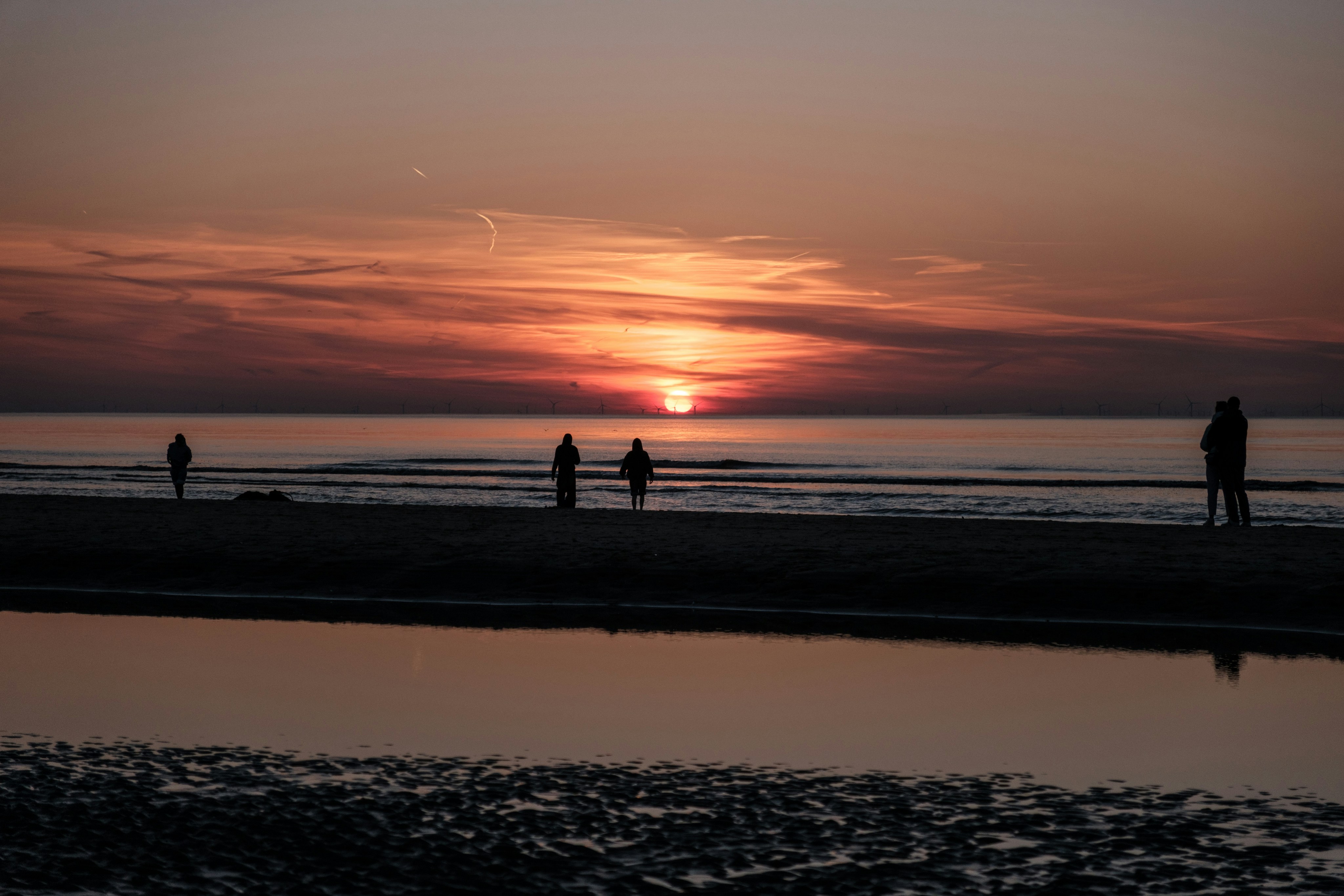 People watch the sunset over the ocean. photo – Free Beach Image on ...