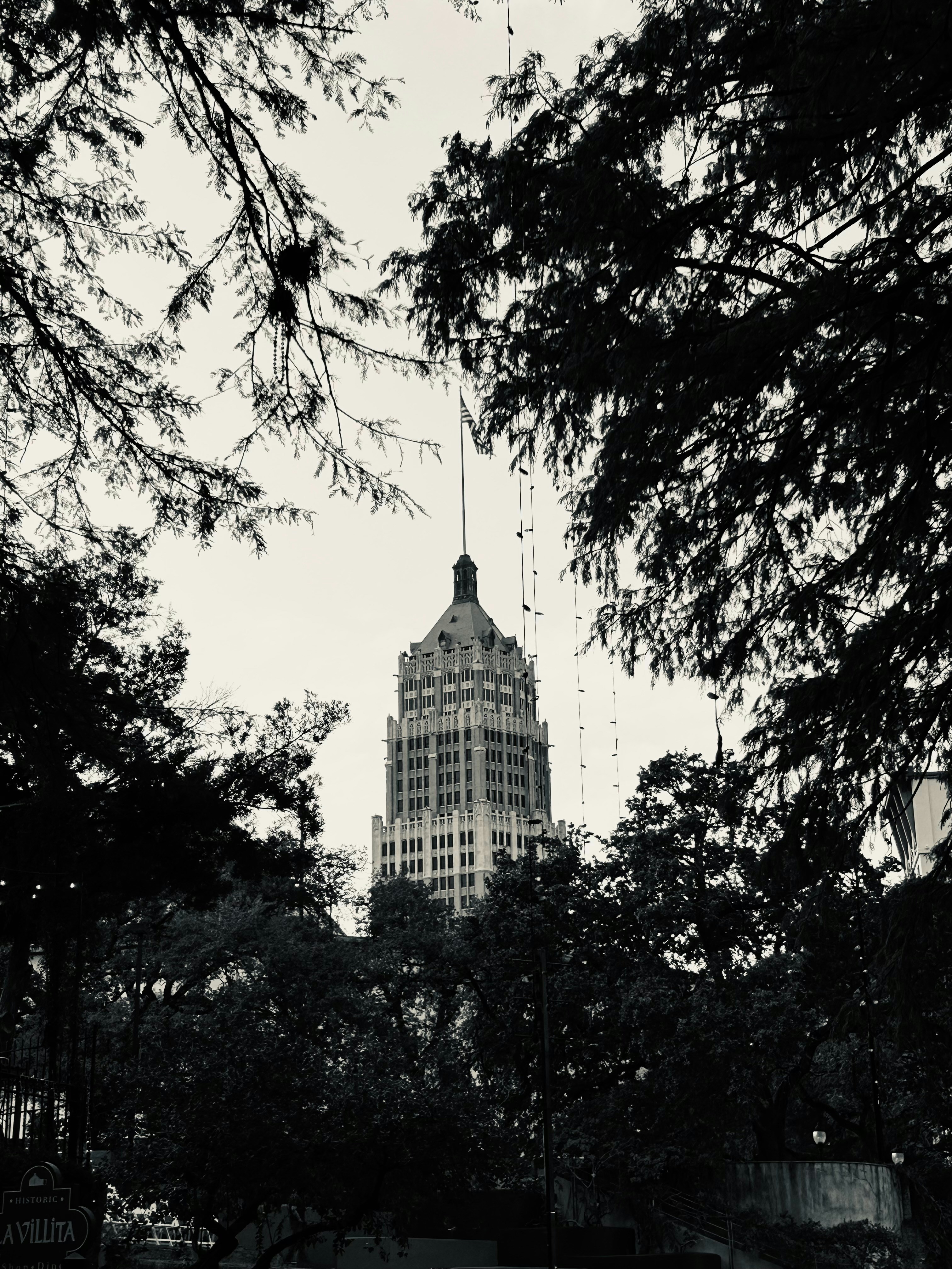 Urban Needle: A Tall Tower Rises Through Canopy