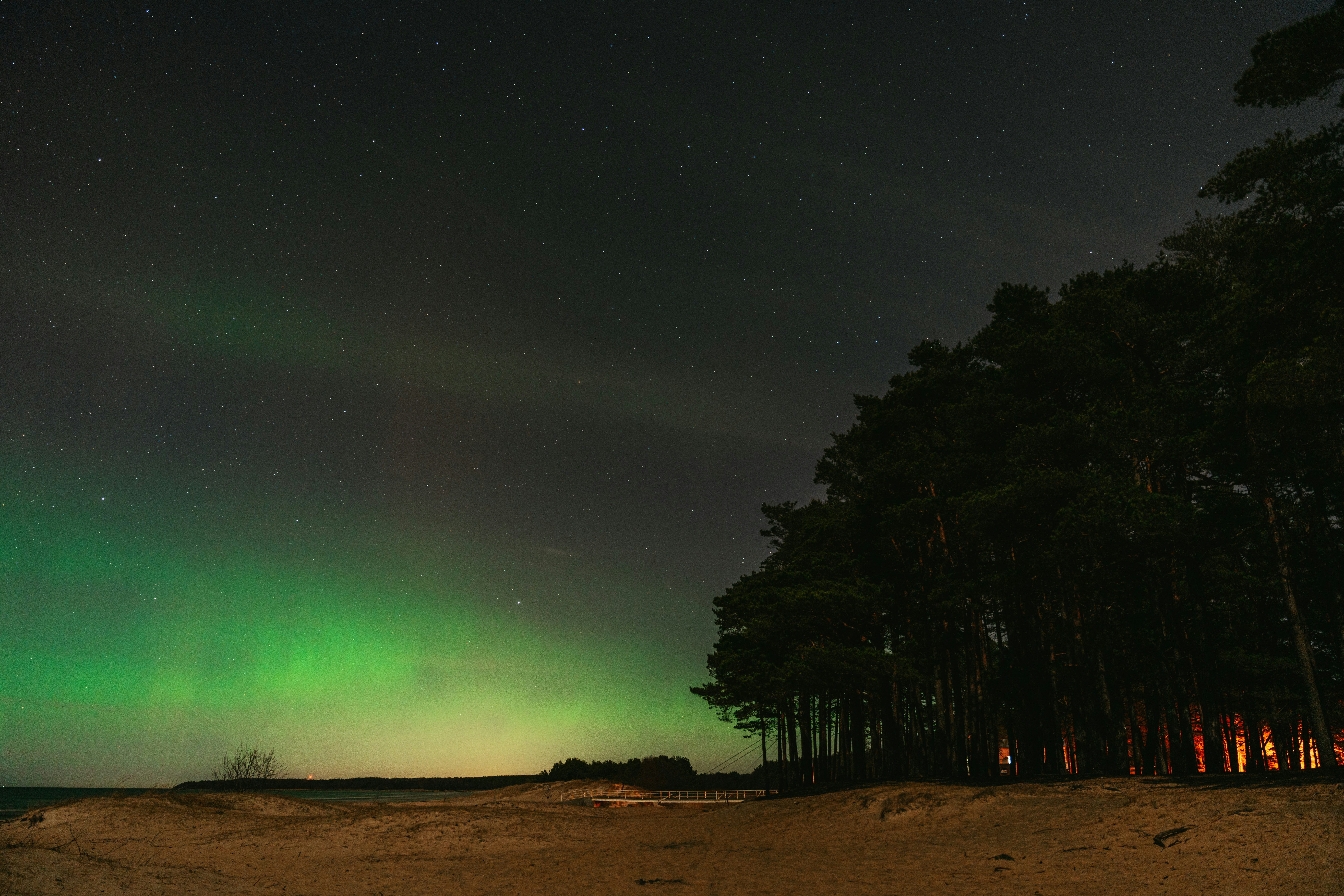 Emerald Curtain Over Snowbound Pines