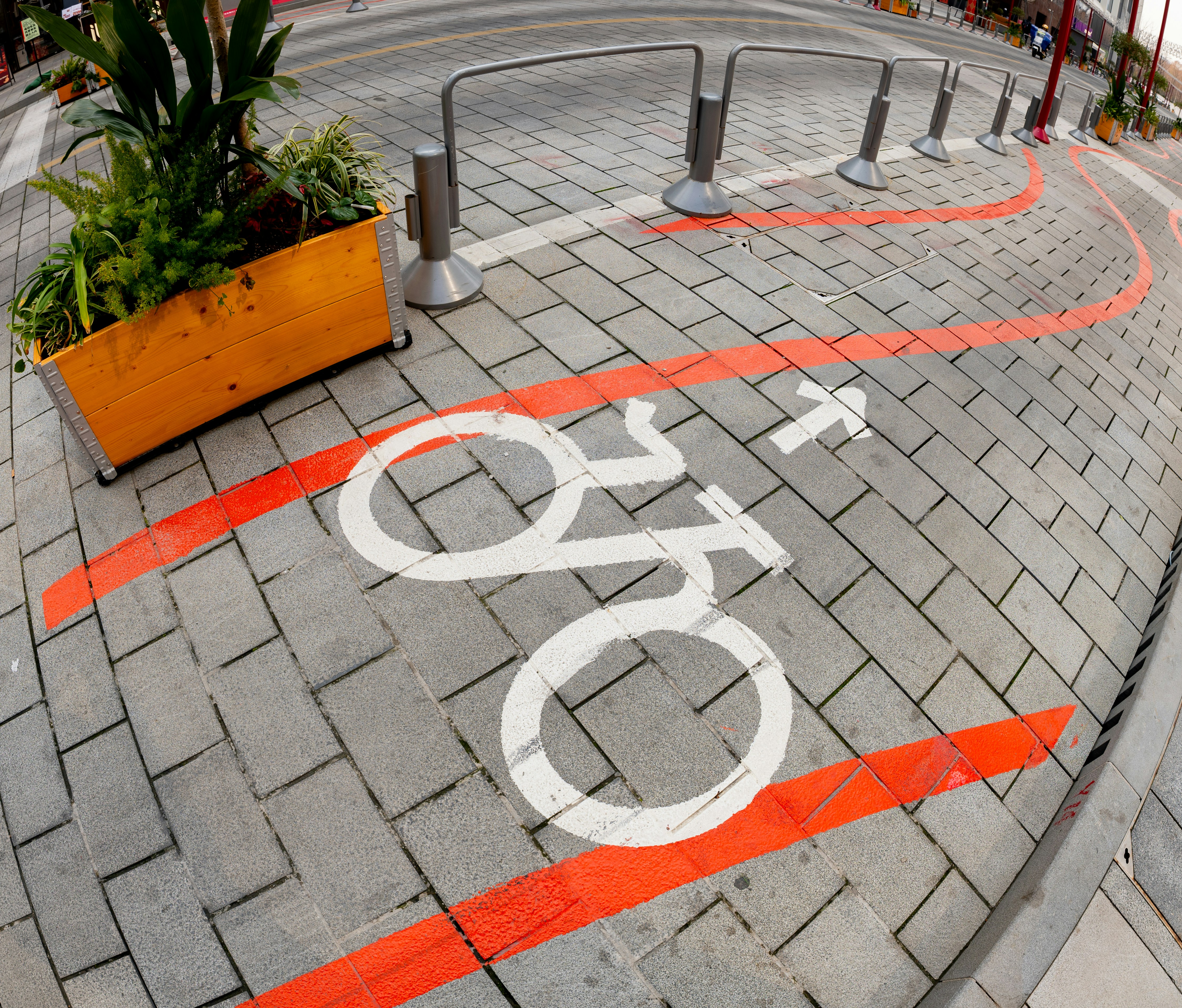 A dedicated bike lane with directional markings. photo – Free City ...