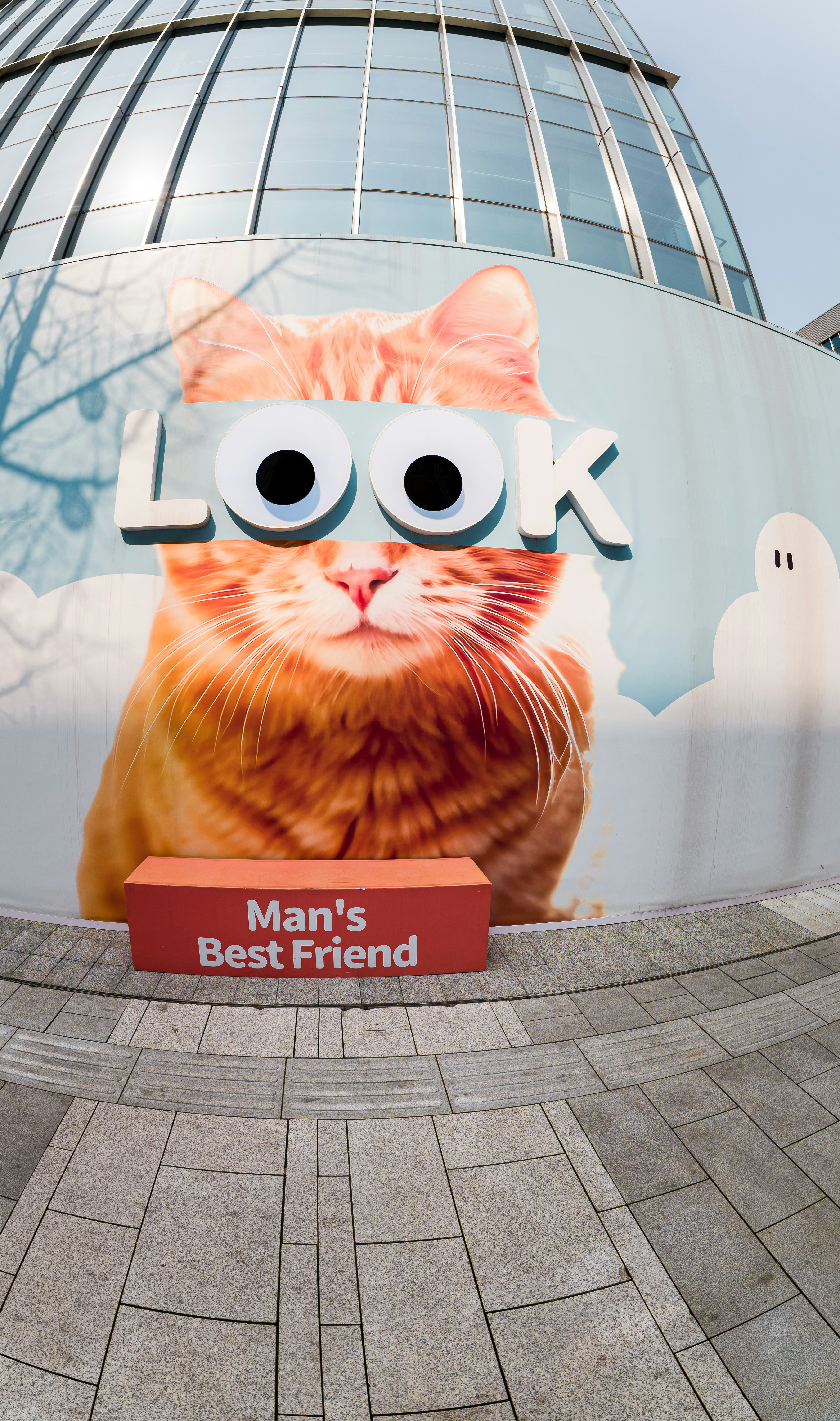 Look Over the City: A Giant Cat Muralscape Framing Modern Glass