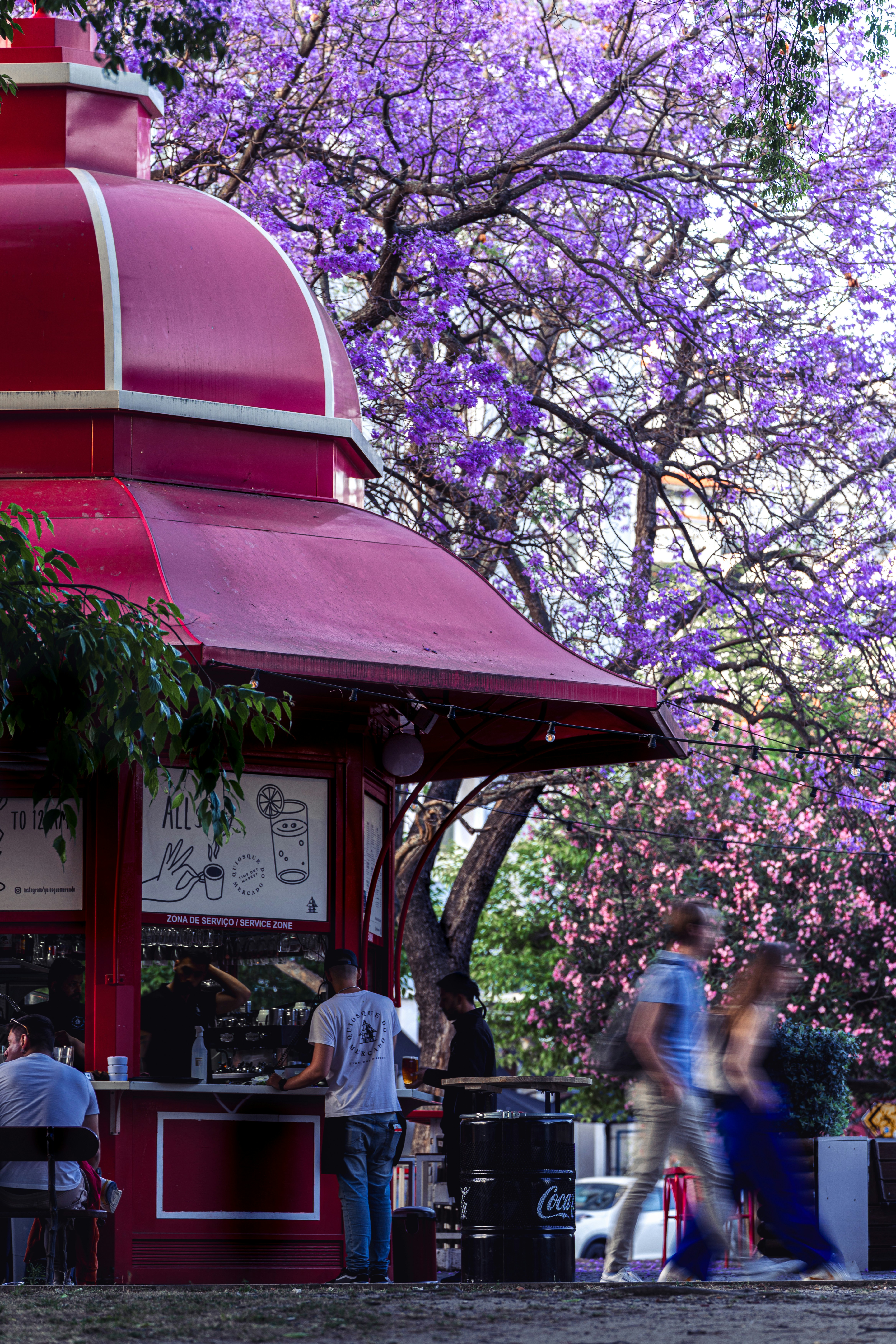 Crimson kiosk beneath a canopy of jacaranda blossoms
