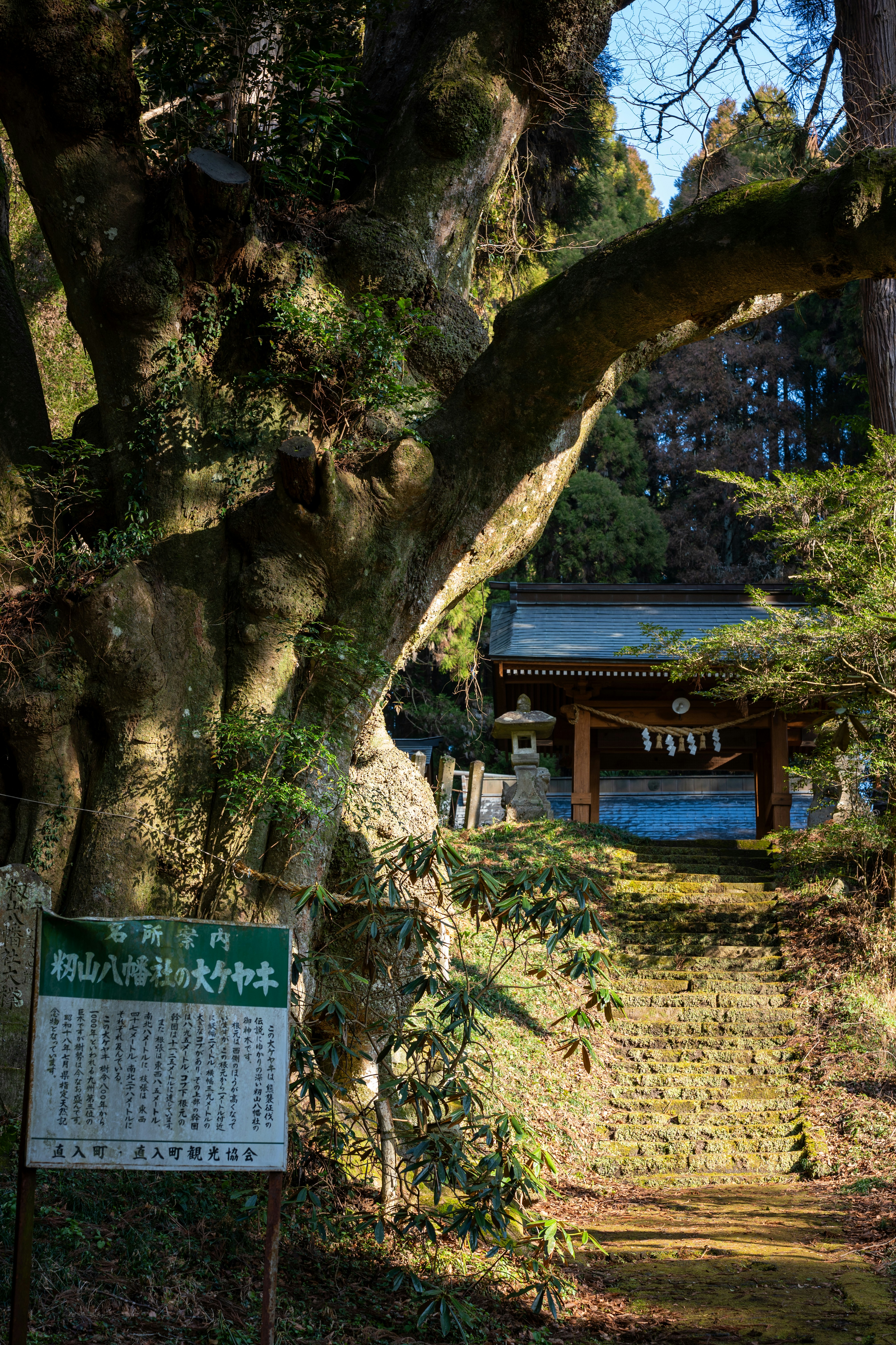 Photo by Kouji Tsuru with Nikon Z6 III