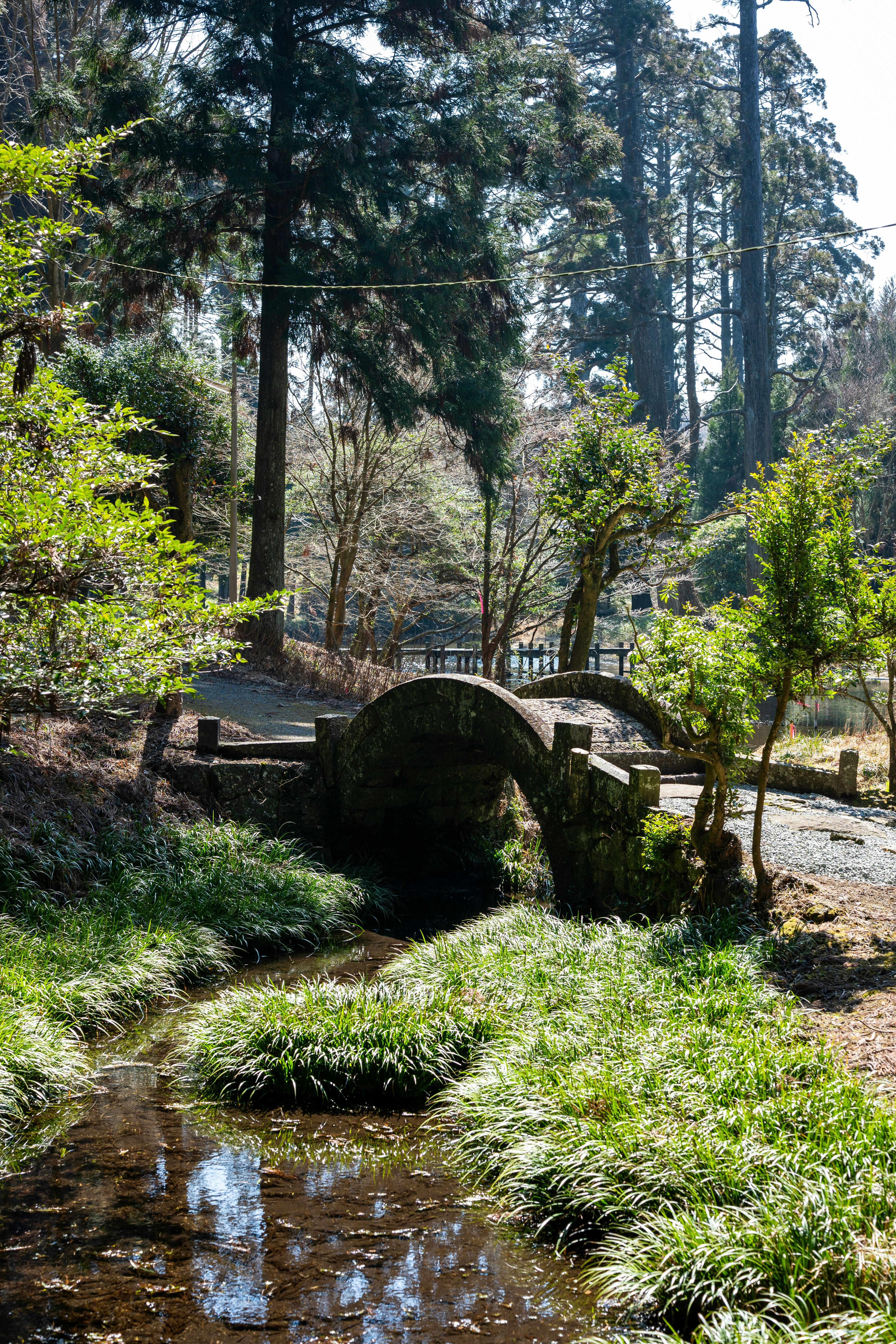 Moss-Wreathed Stone Bridge Crossing a Sunlit Forest Stream