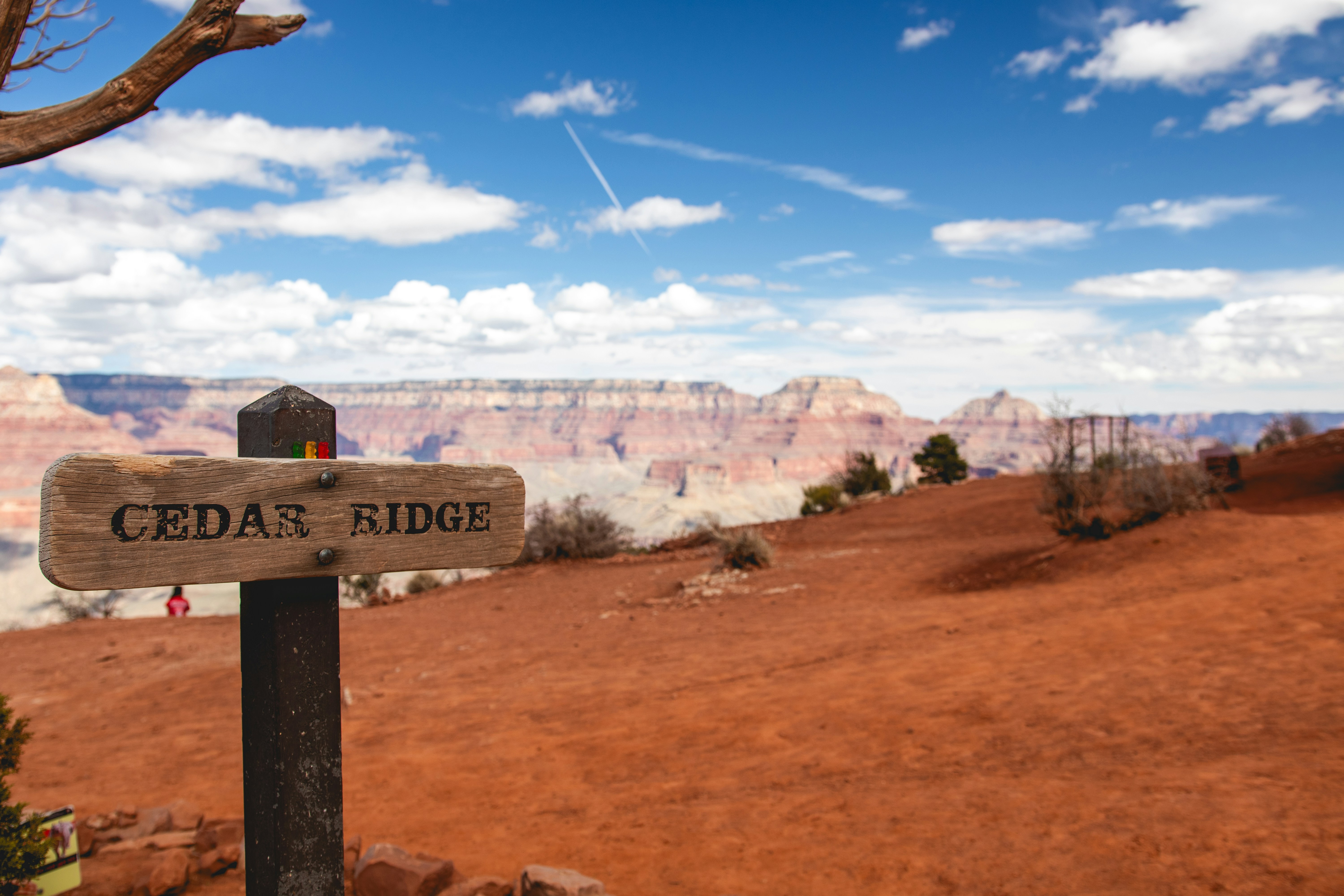 Pathway to the Painted HorizonTrevor Minett