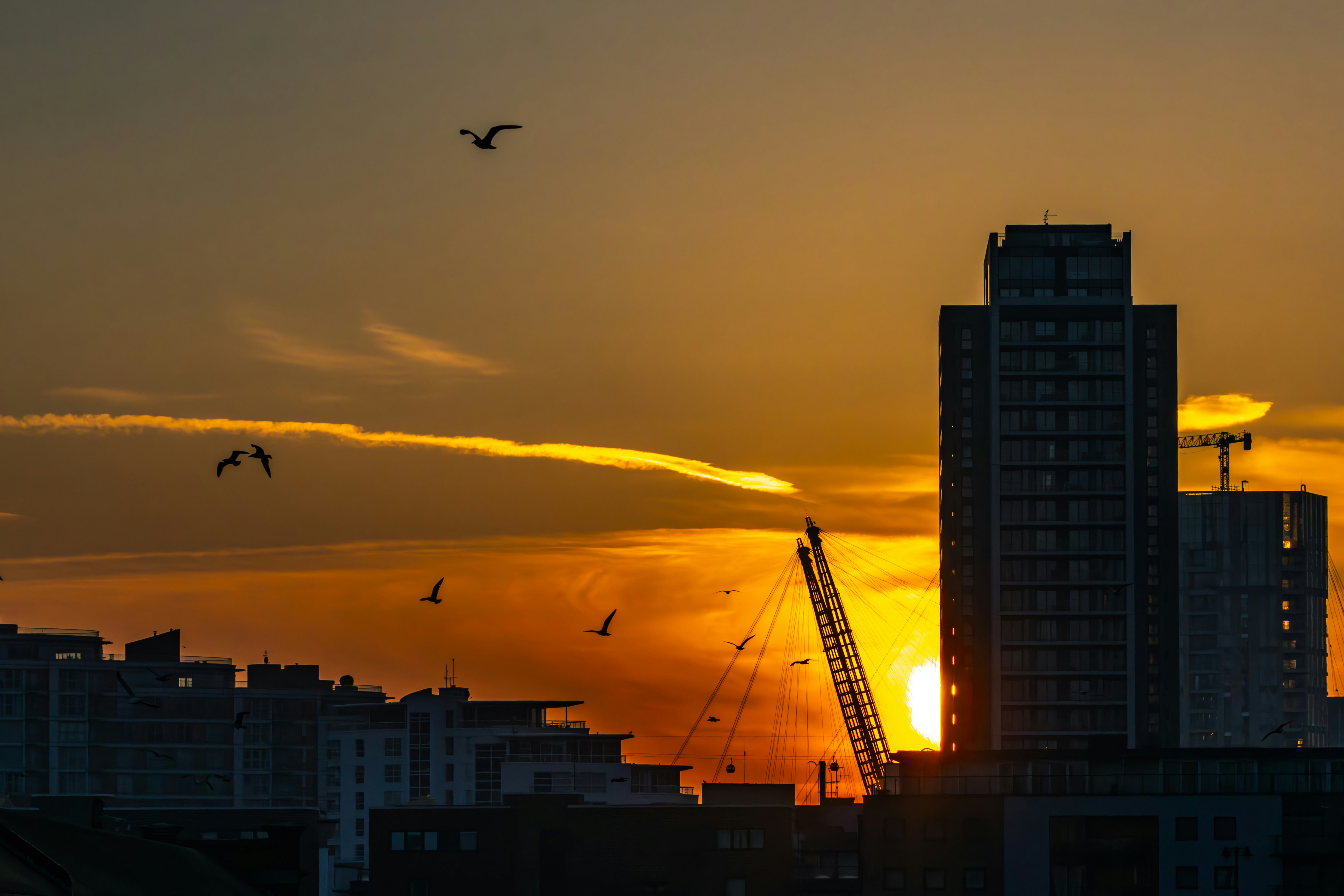 Crimson Hour Over a Crane-Lit Skyline