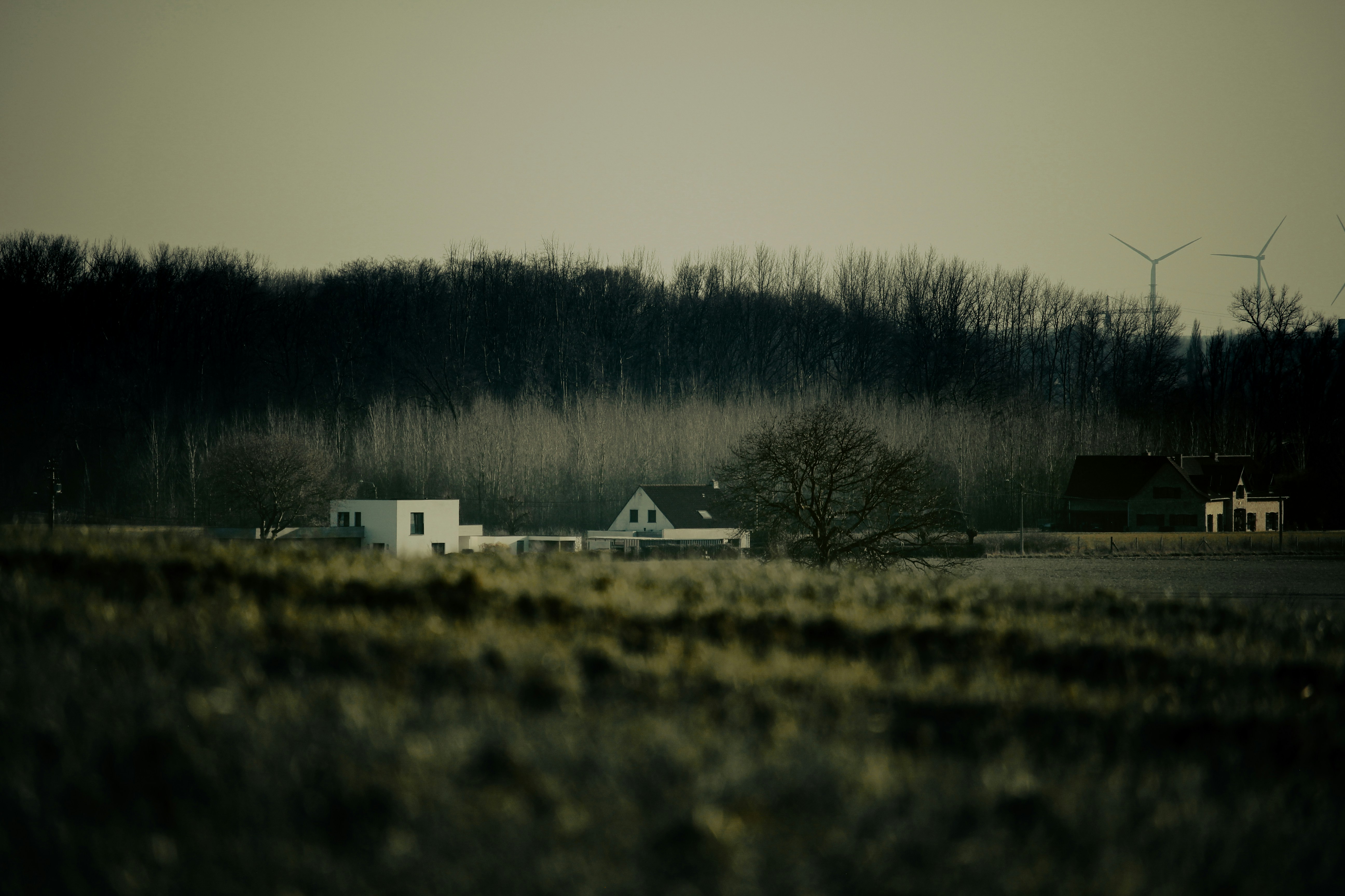 Distant houses nestled against a backdrop of bare trees and wind turbines under a muted sky.