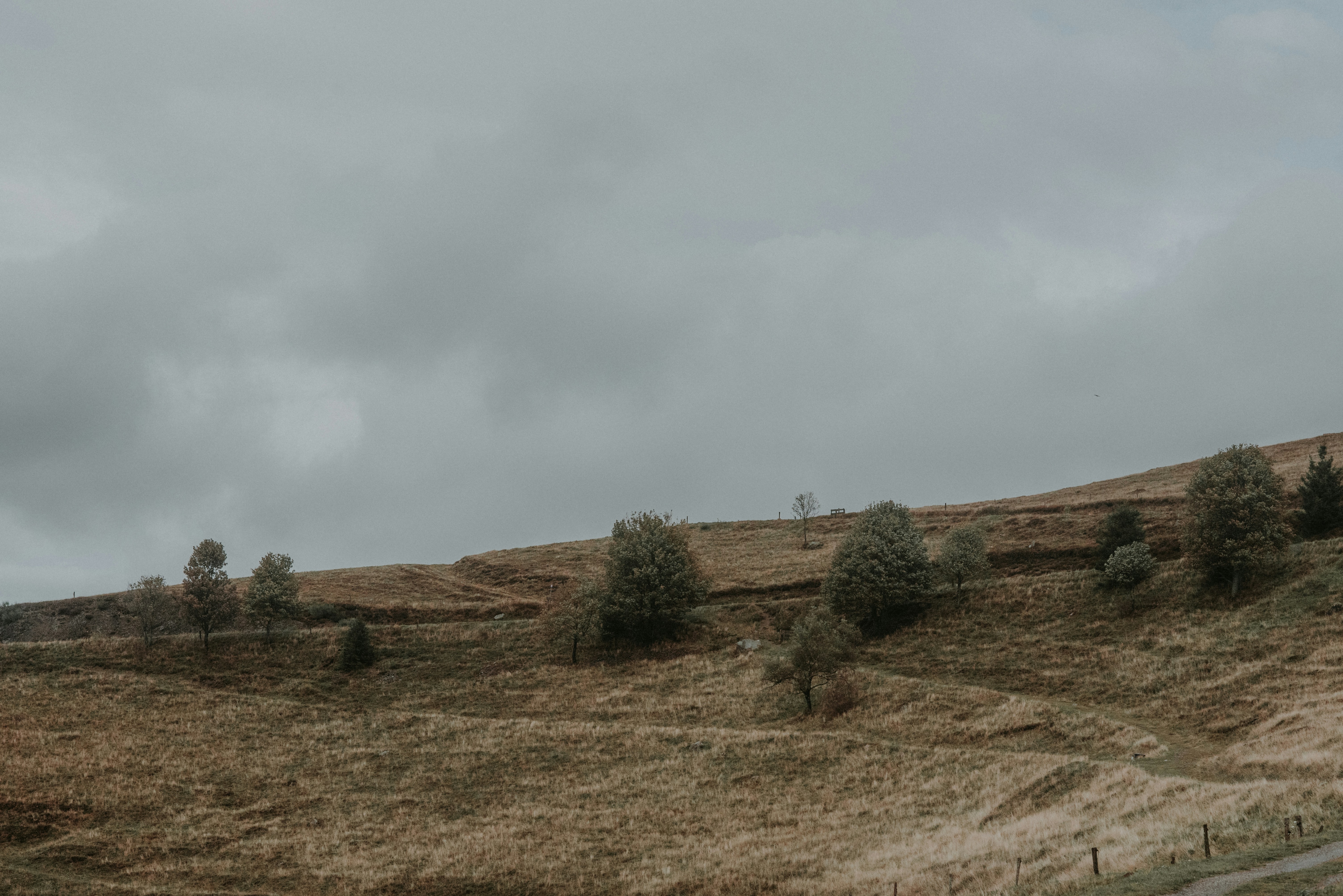 Photo by Alexandre TOPOLEWSKI with Nikon D750