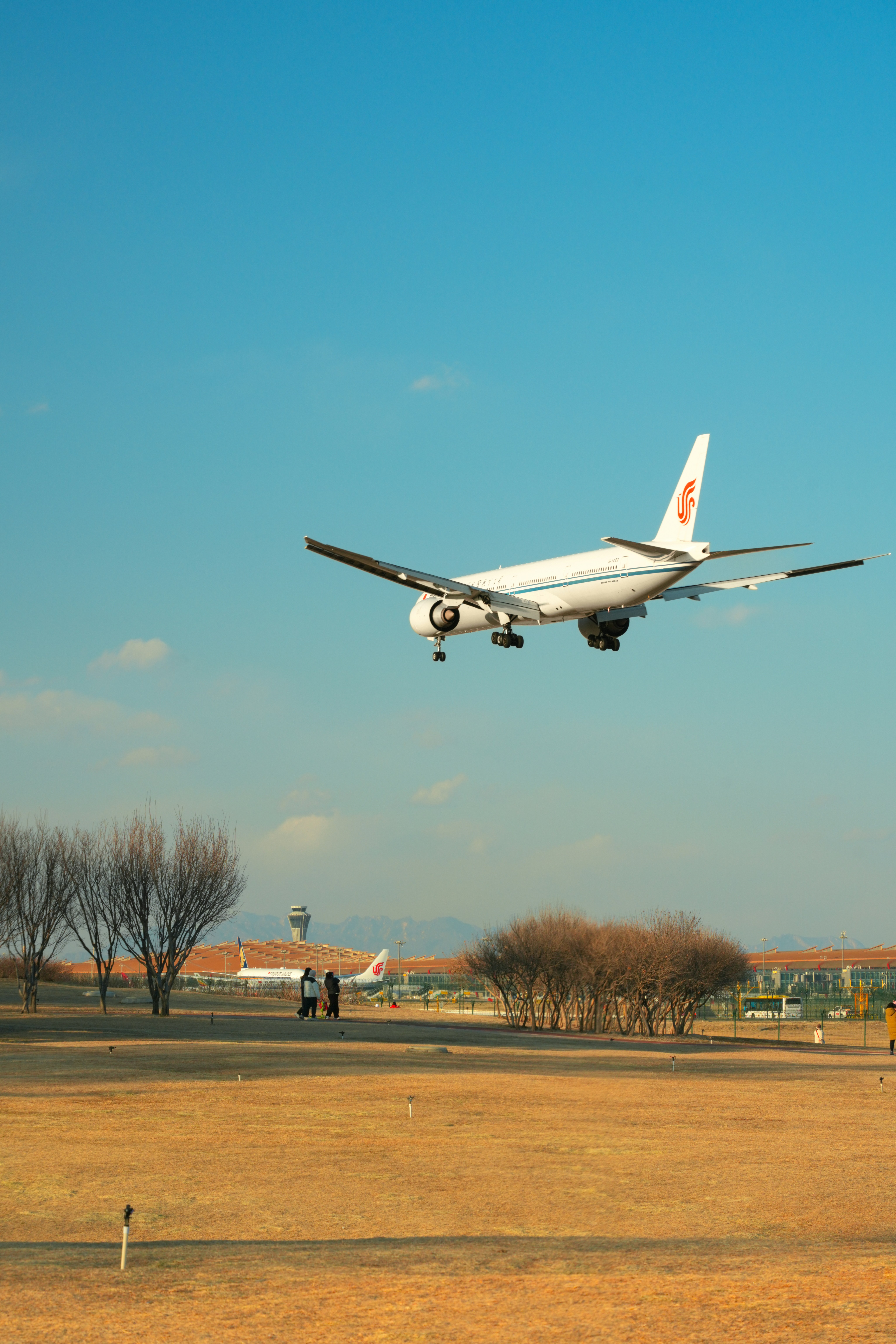 Edge of Descent: A Jet Quietly Bridges Sky and Field