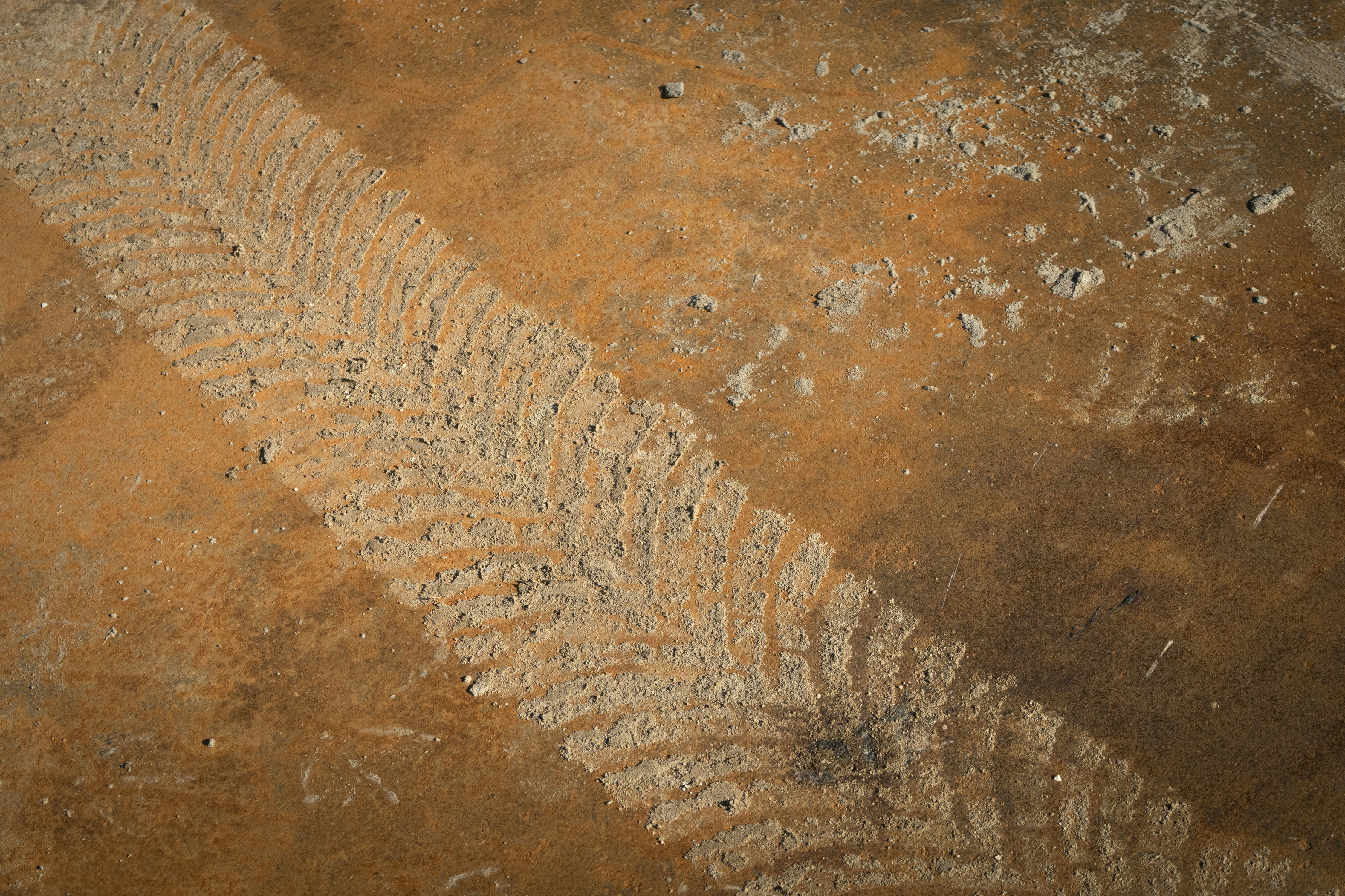 Tire tracks make diagonal lines on a dusty surface. photo – Free ...