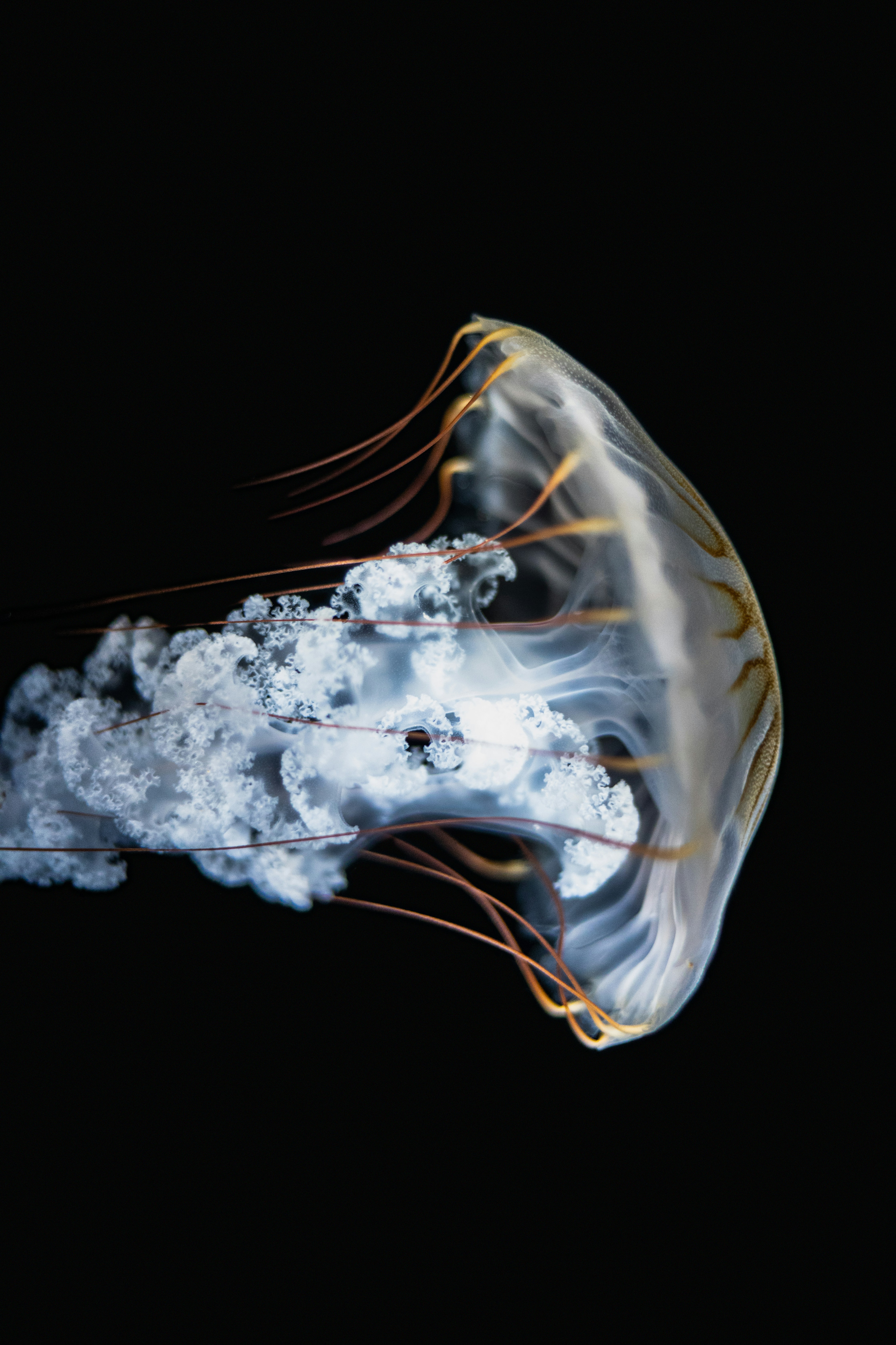 Sample photo from Canon EOS R