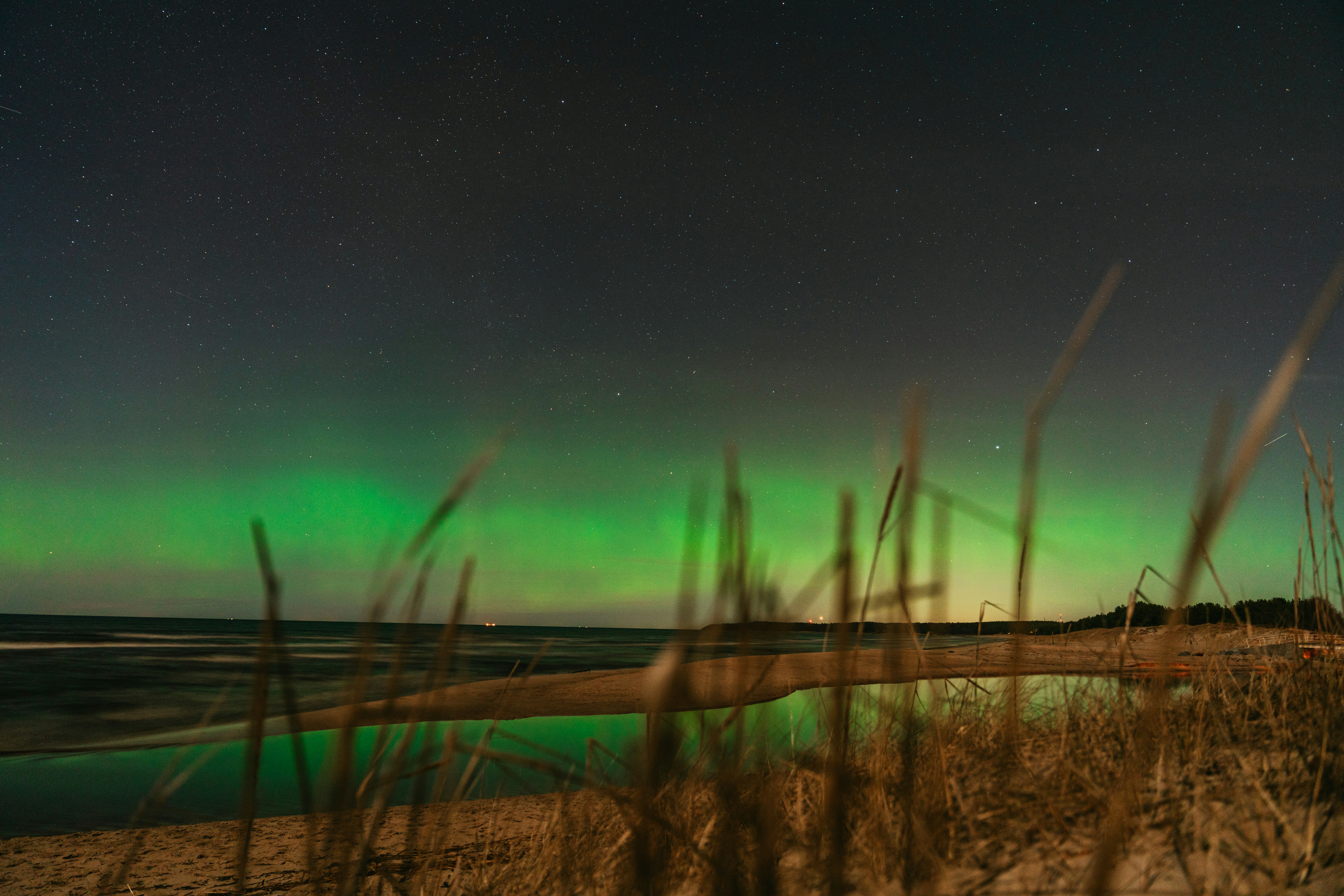 Aurora Veil over a Wind-Swept Shoreline