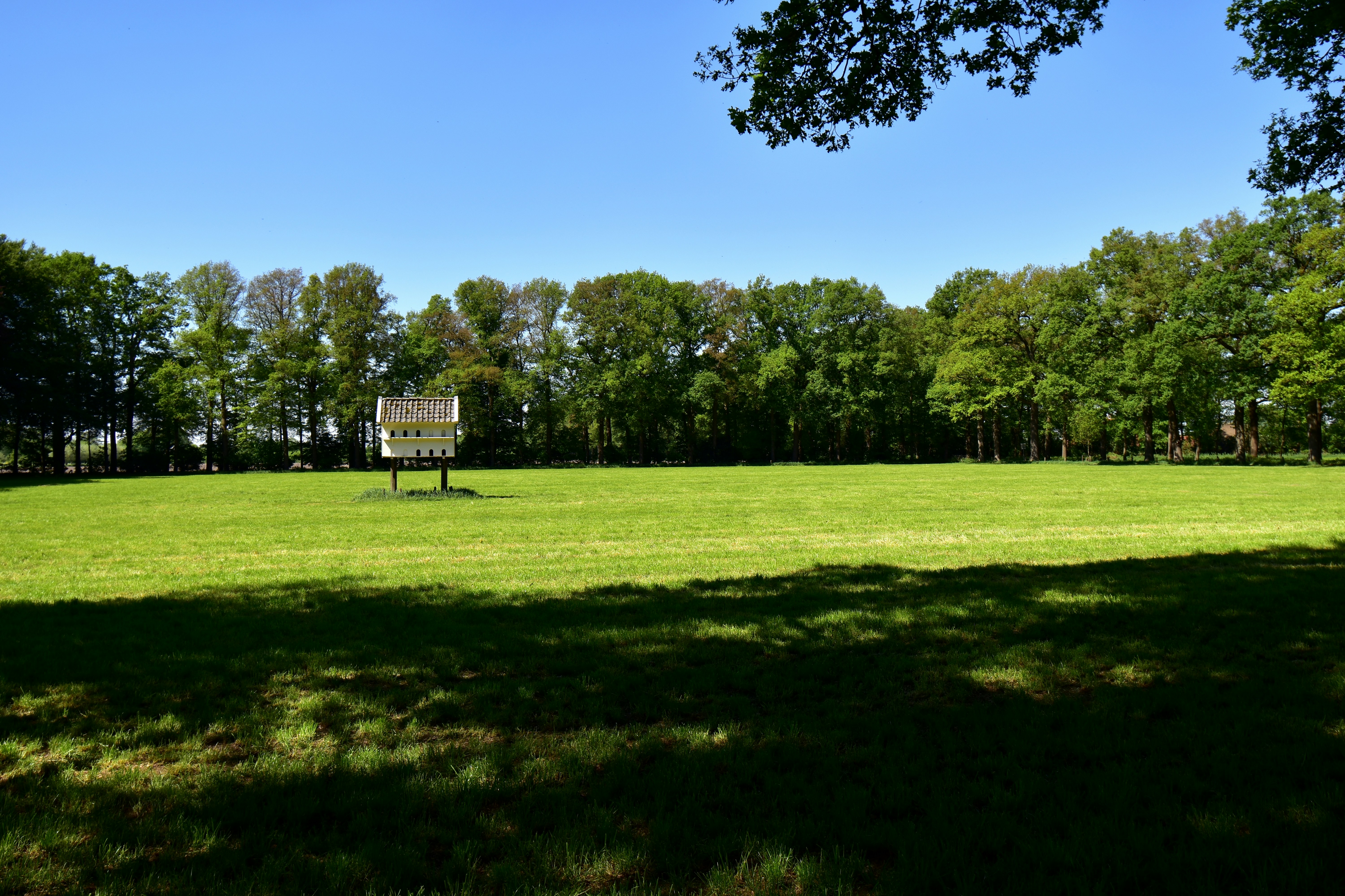Dovecote stands in sunlit grassy field bordered by dense trees under a clear blue sky.
