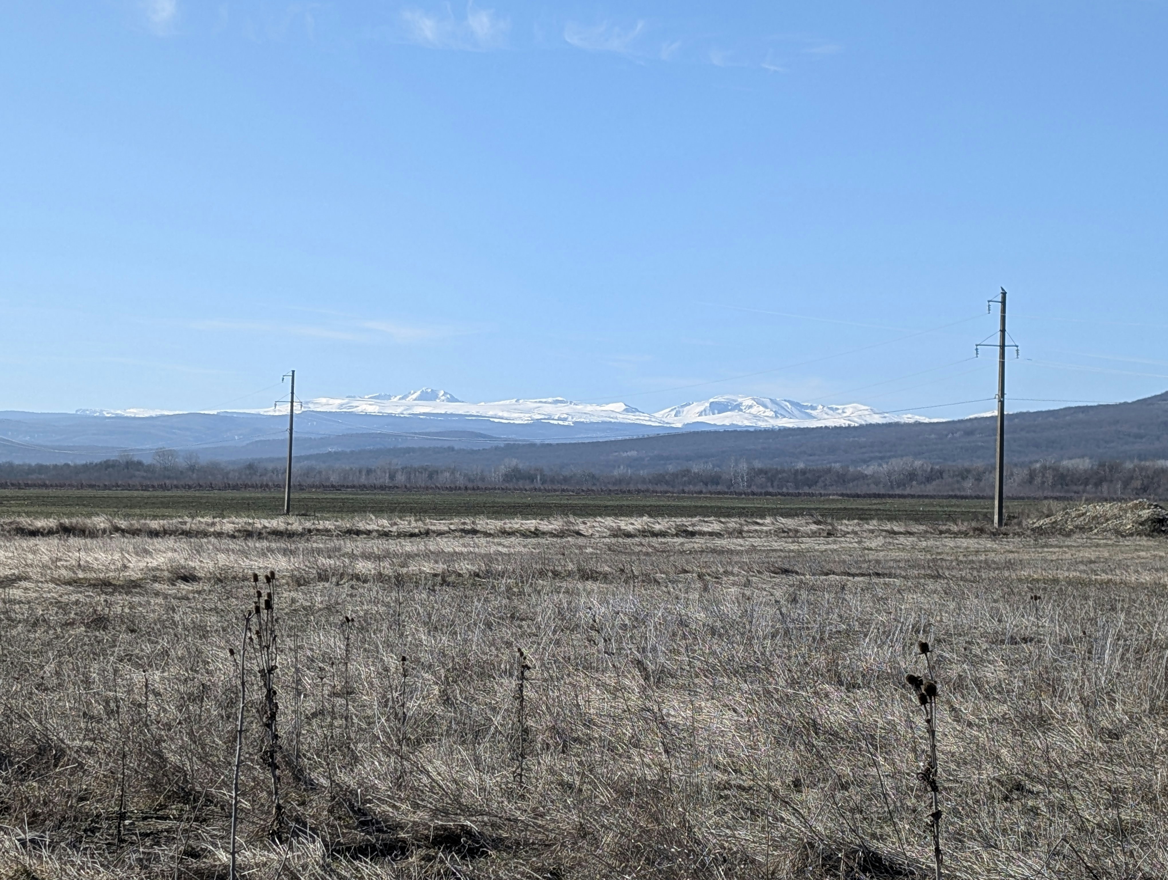 Open grassy field with distant snow-covered mountains under a clear blue sky.