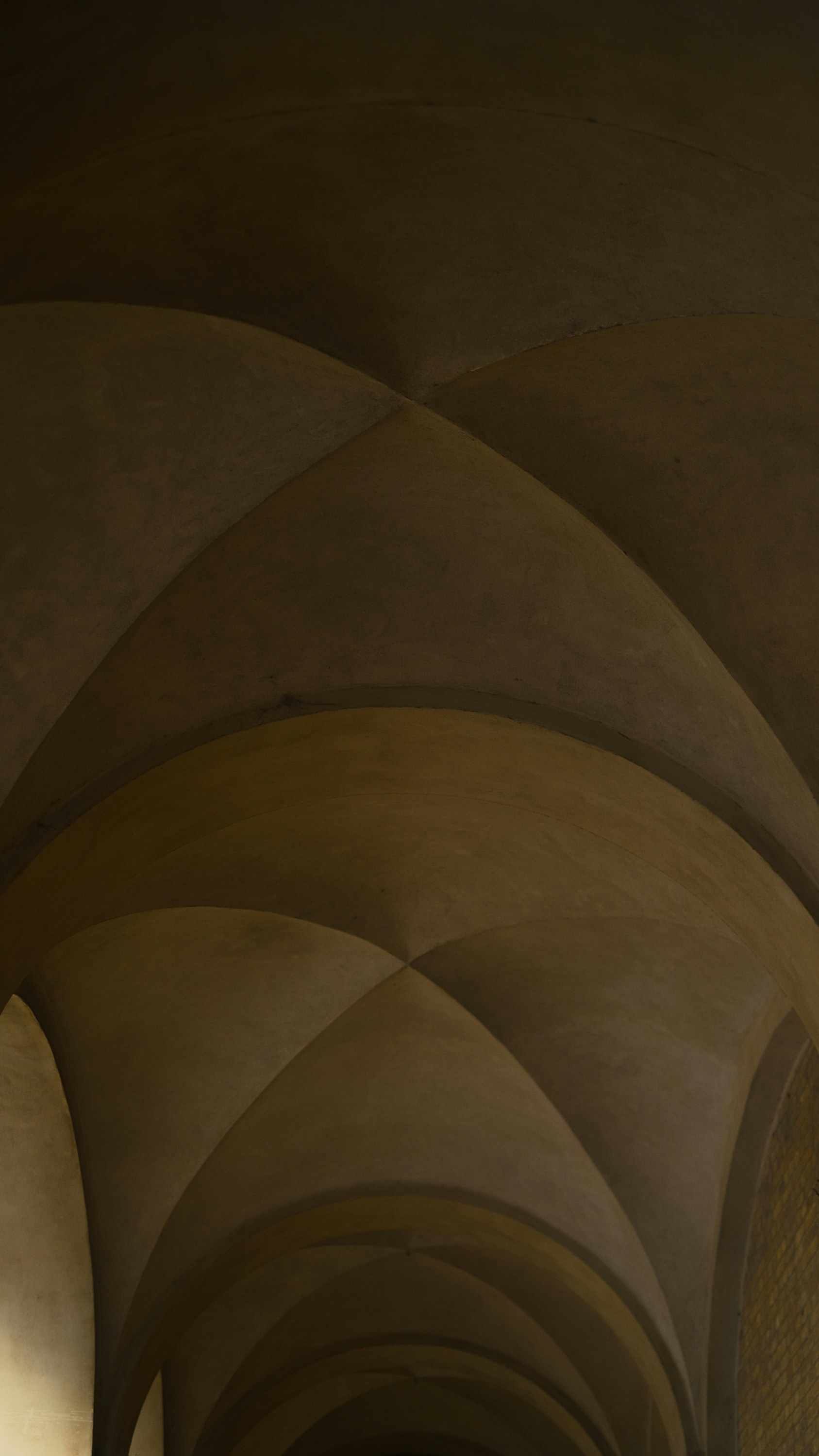 Arched ceilings of a long corridor. photo – Free Abstract Image on Unsplash