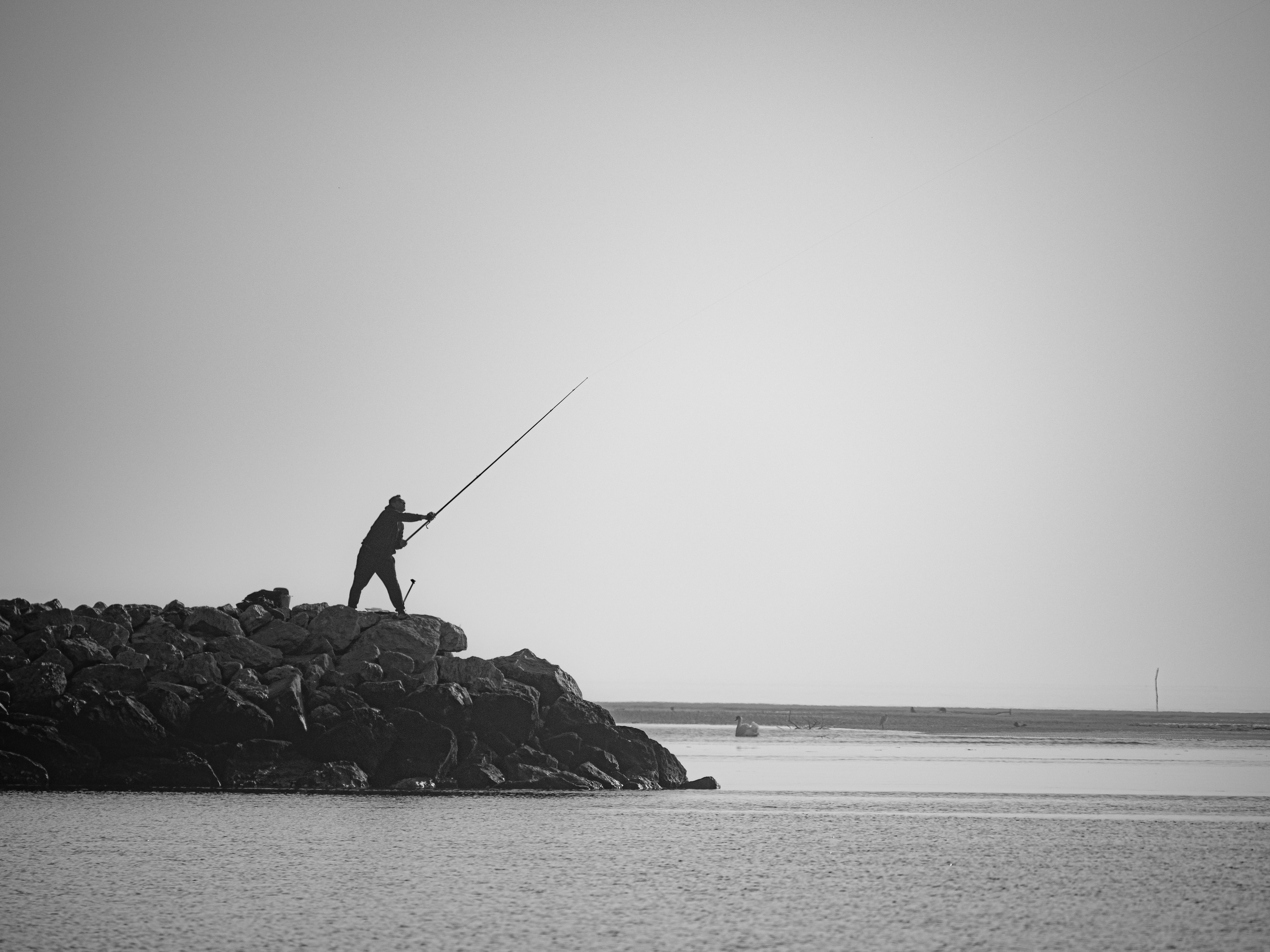 Photo by Diego Romeo with OM System OM-1